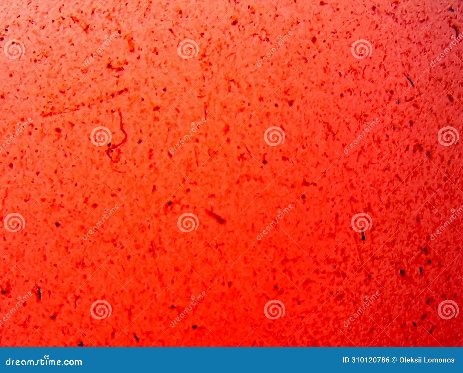 Under the Lens of the Microscope, a Fascinating World Unfolds ... Under the Lens of the Microscope, a Fascinating World Unfolds ...