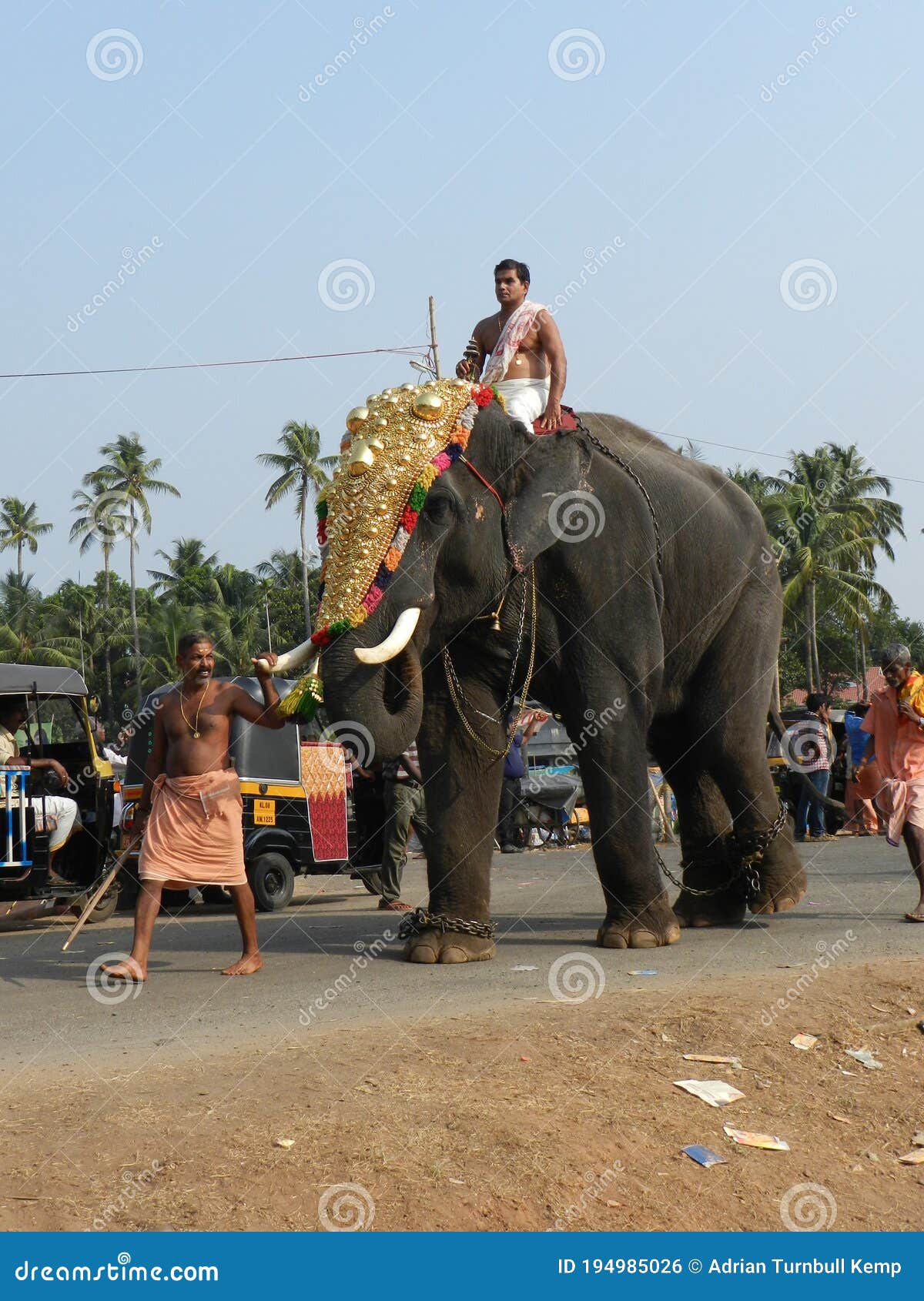 Proud Mahouts Accomany Their Elephant, Thrissur, Kerala, IndiaCentre ...
