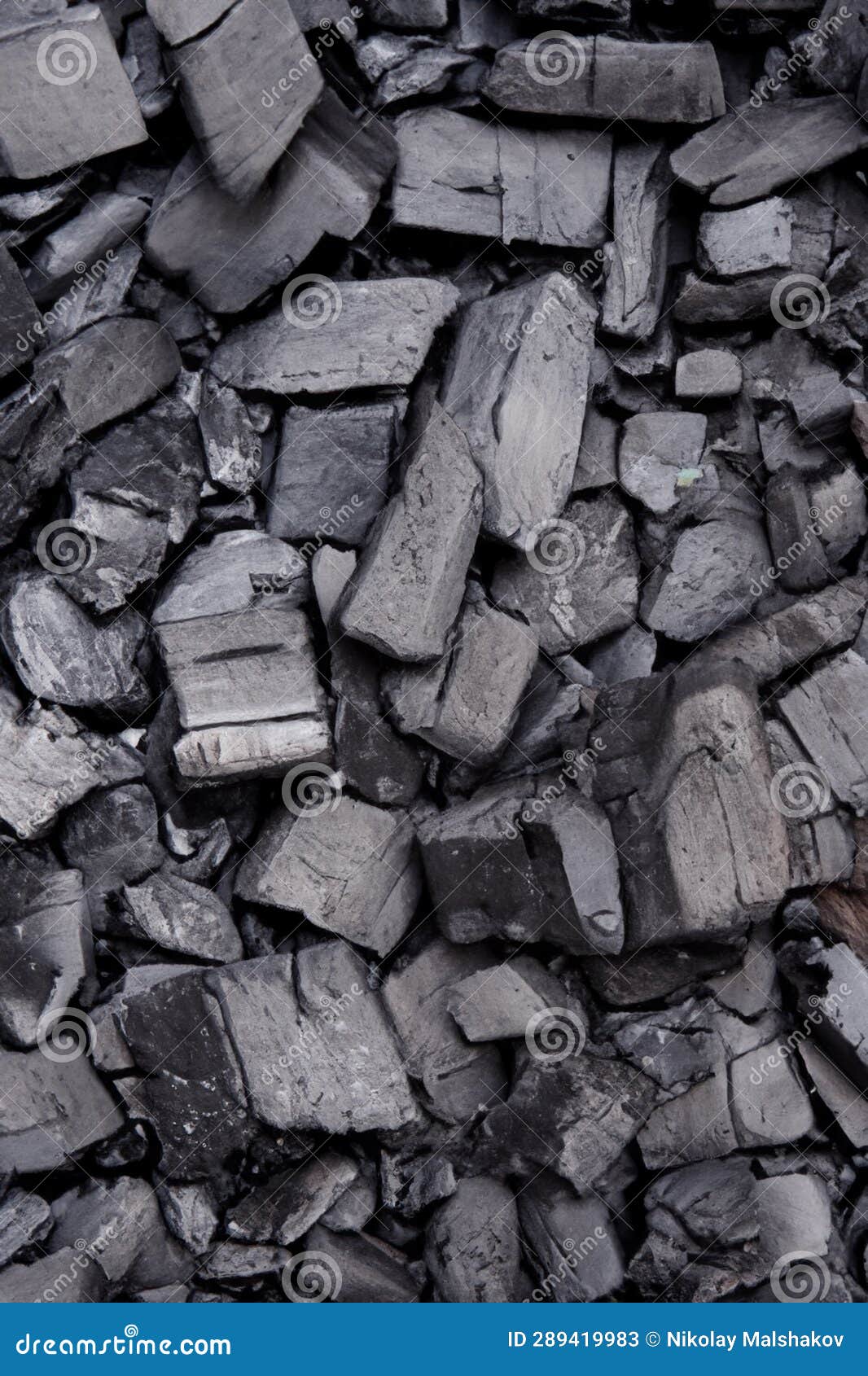 Each Layer and Vein in the Coal Adds Depth and Character To the Texture ...