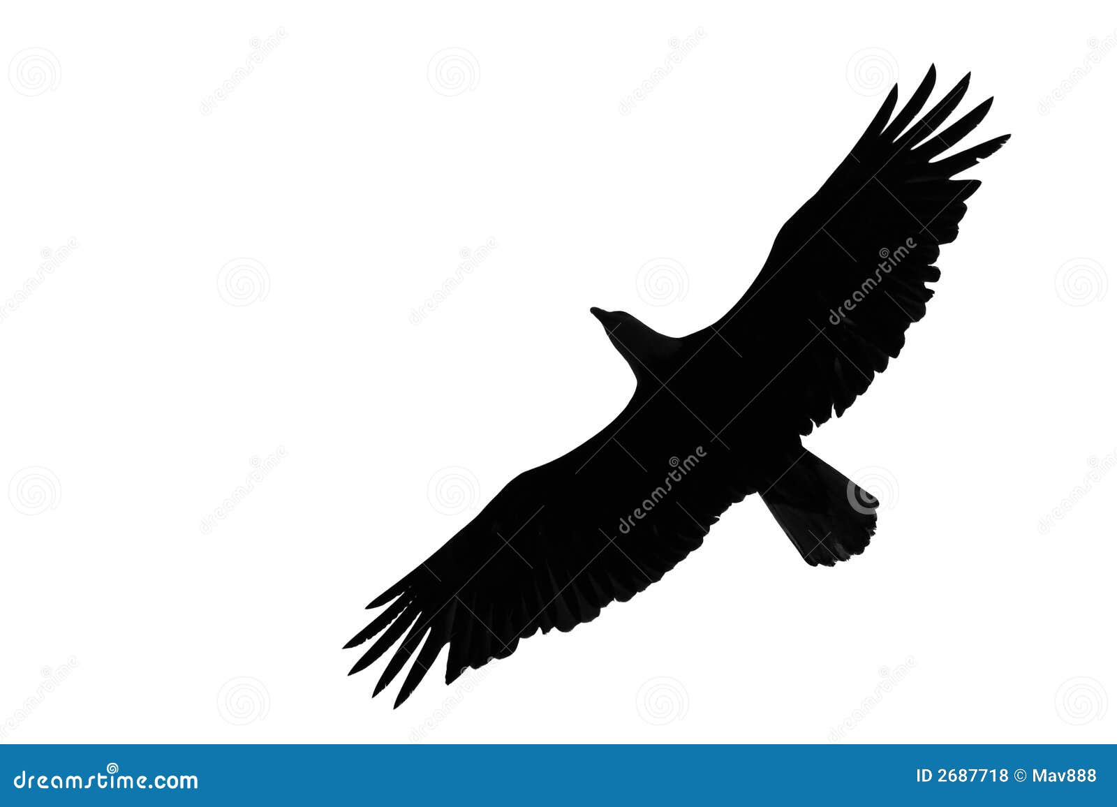 A Silhouette Of An Eagle Flying Overhead In The Sky. A Perfectly ...