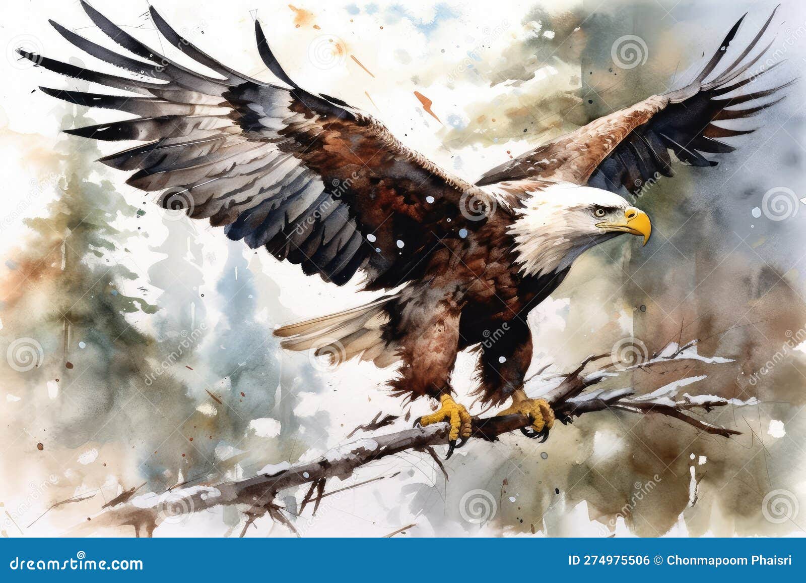 Eagle Action Watercolor :: "Eagle in Flight" Stock Illustration ...