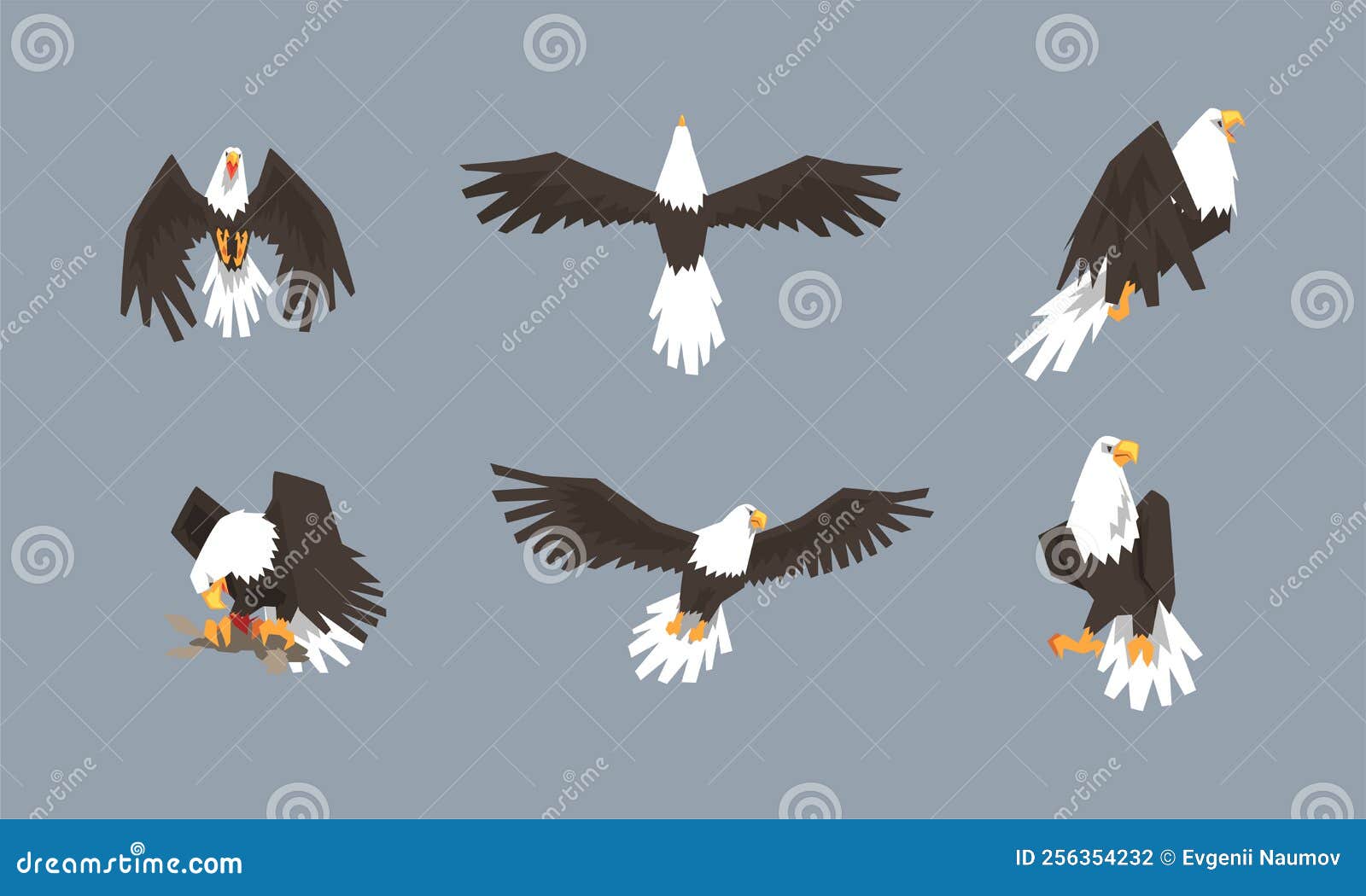 Eagle As Large Bird of Prey with Beak and Broad Black Wings in ...