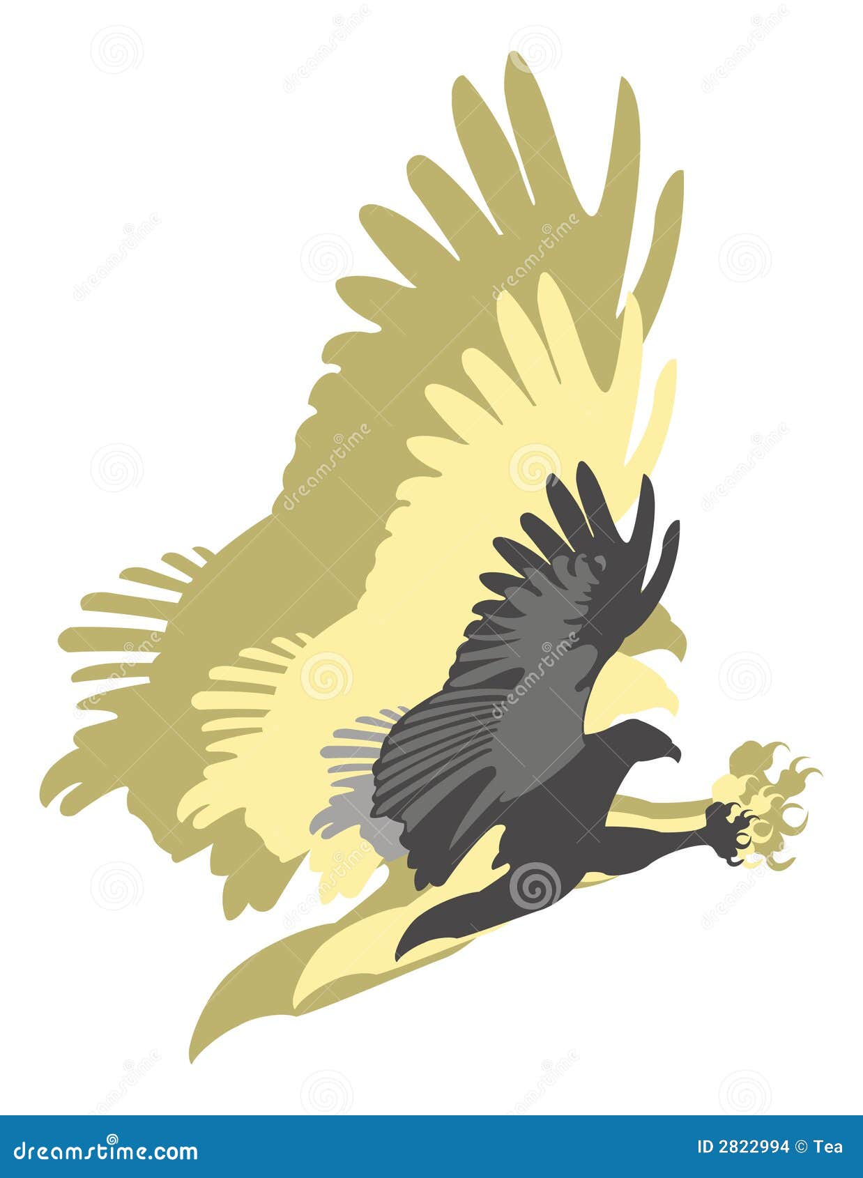 Eagle attack stock vector. Illustration of vector, plumage - 2822994