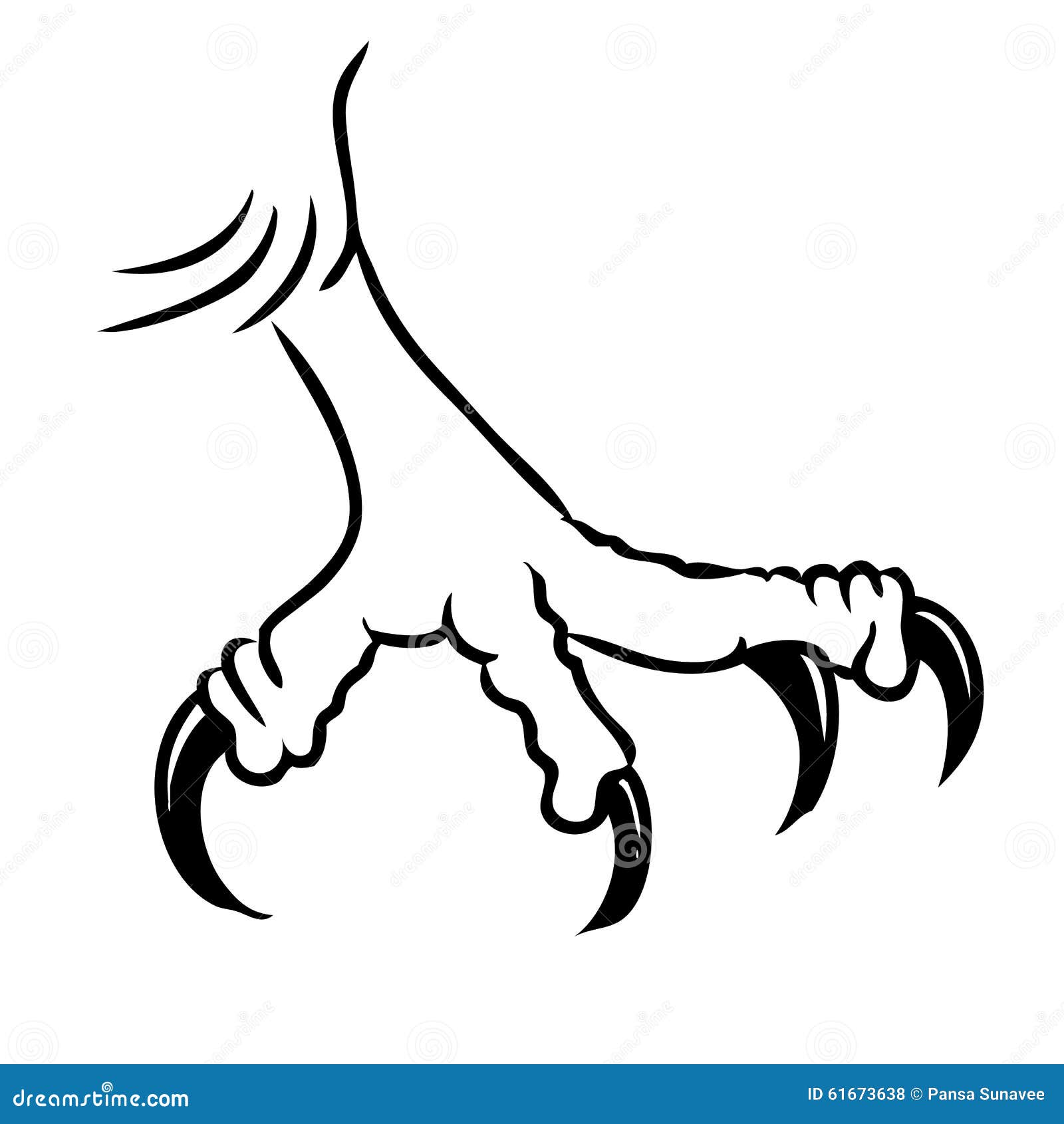 Eagle bird claws stock vector. Illustration of bird, animal - 61673638 Eagle bird claws stock vector. Illustration of bird, animal - 61673638