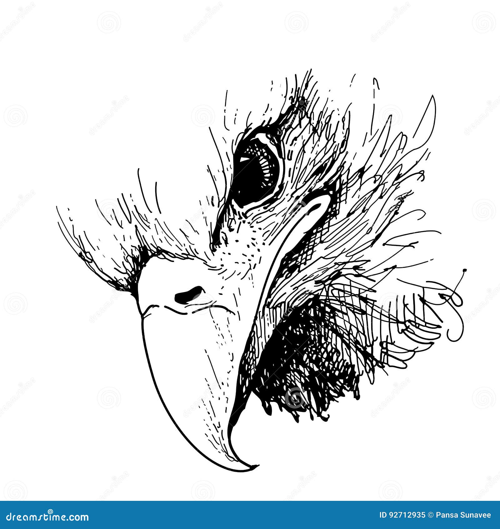 Eagle Bird Doodle Hand Drawn Stock Vector - Illustration of freedom ...