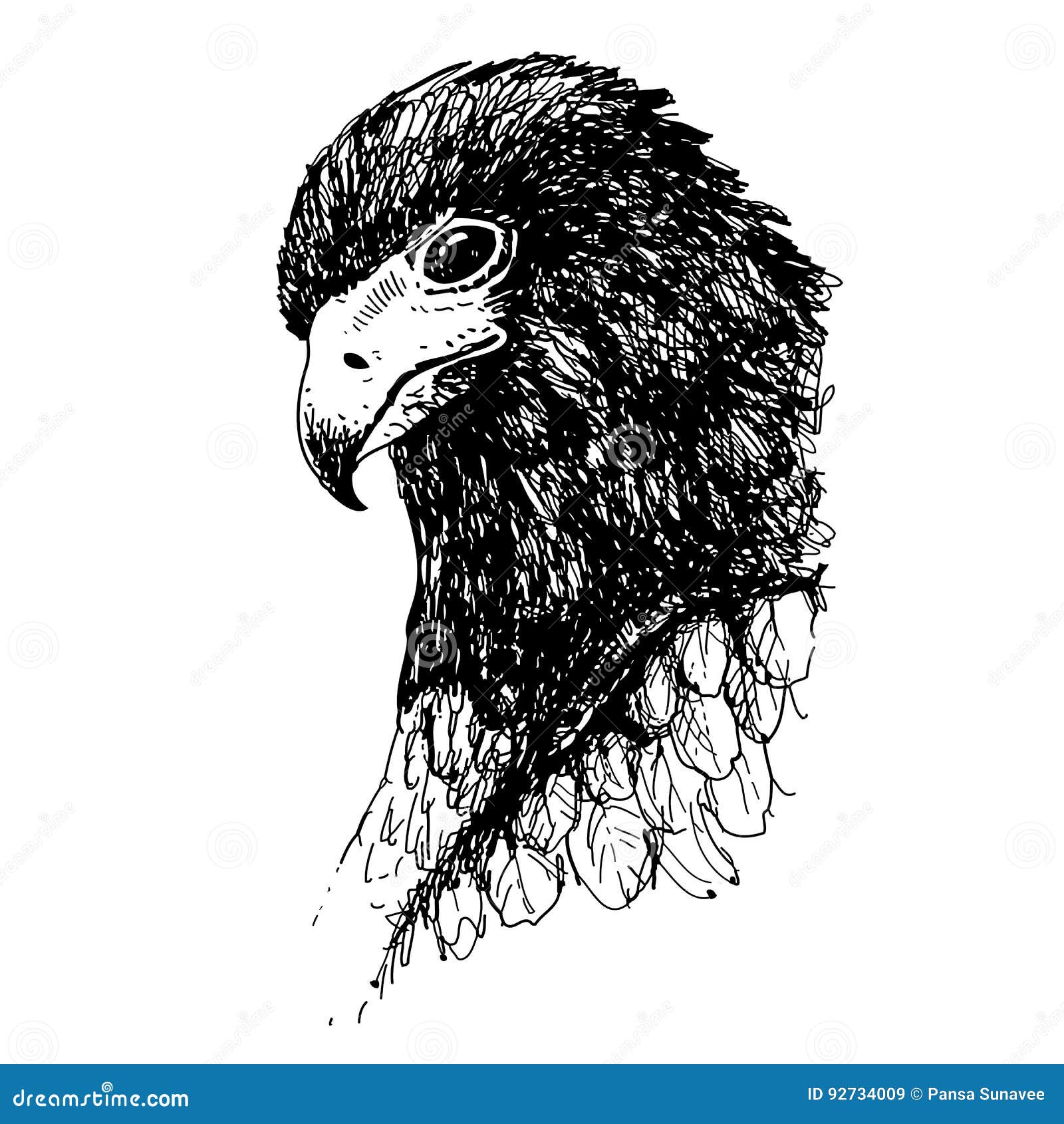 Eagle Bird Doodle Hand Drawn Stock Vector - Illustration of nature ...