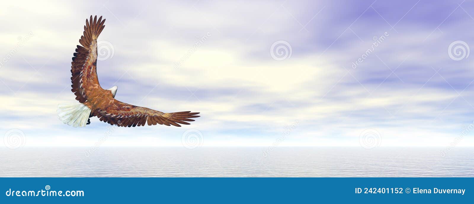 Eagle Bird Flying Over the Water - 3D Render Stock Illustration ...