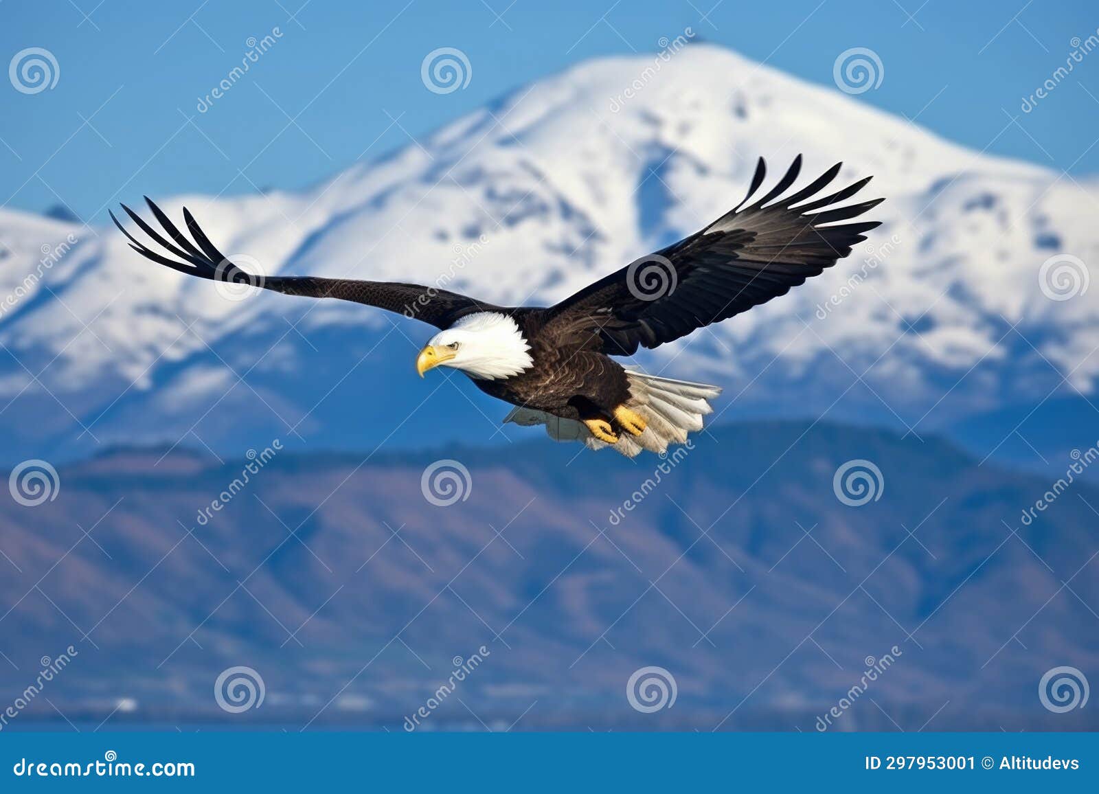 An Eagle Catching Wind Currents Against a Mountain Backdrop Stock Image ...