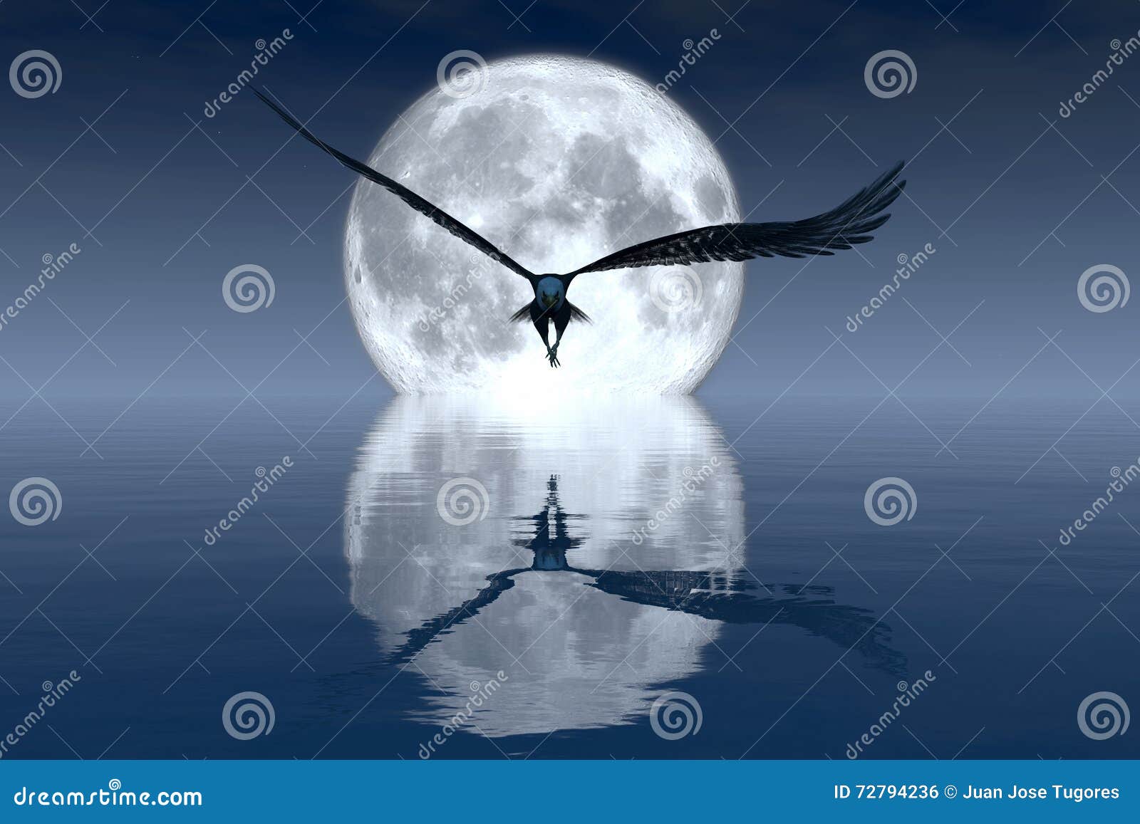 Eagle stock illustration. Illustration of moon, kind - 72794236