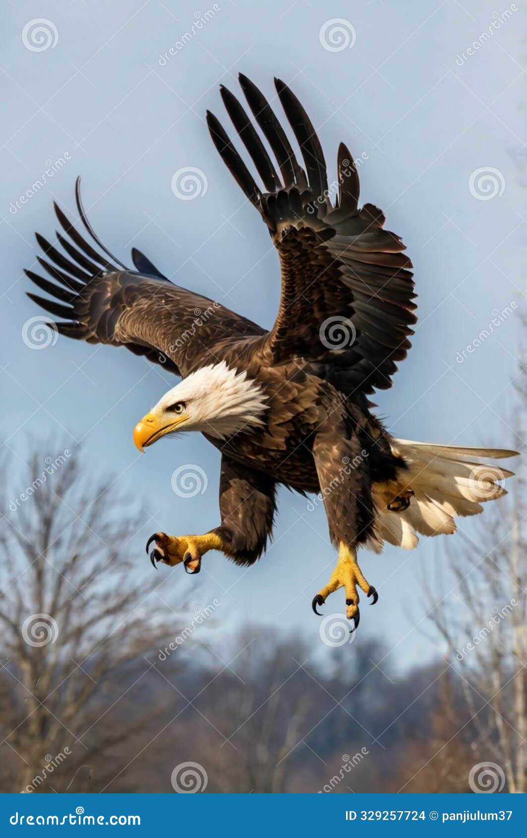 An Eagle Diving Towards Its Prey with Its Talons Outstretched, Ready To ...