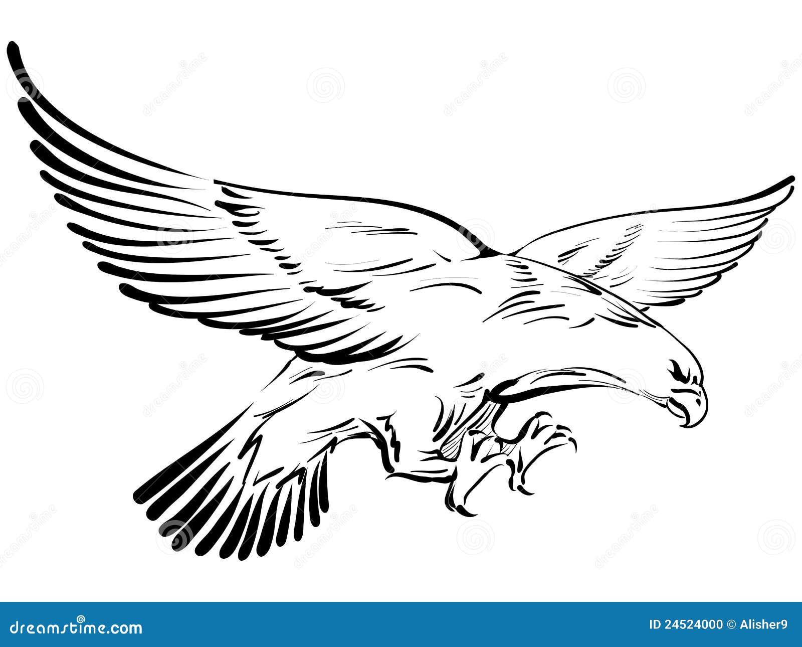 Eagle doodle stock vector. Illustration of advertisement - 24524000