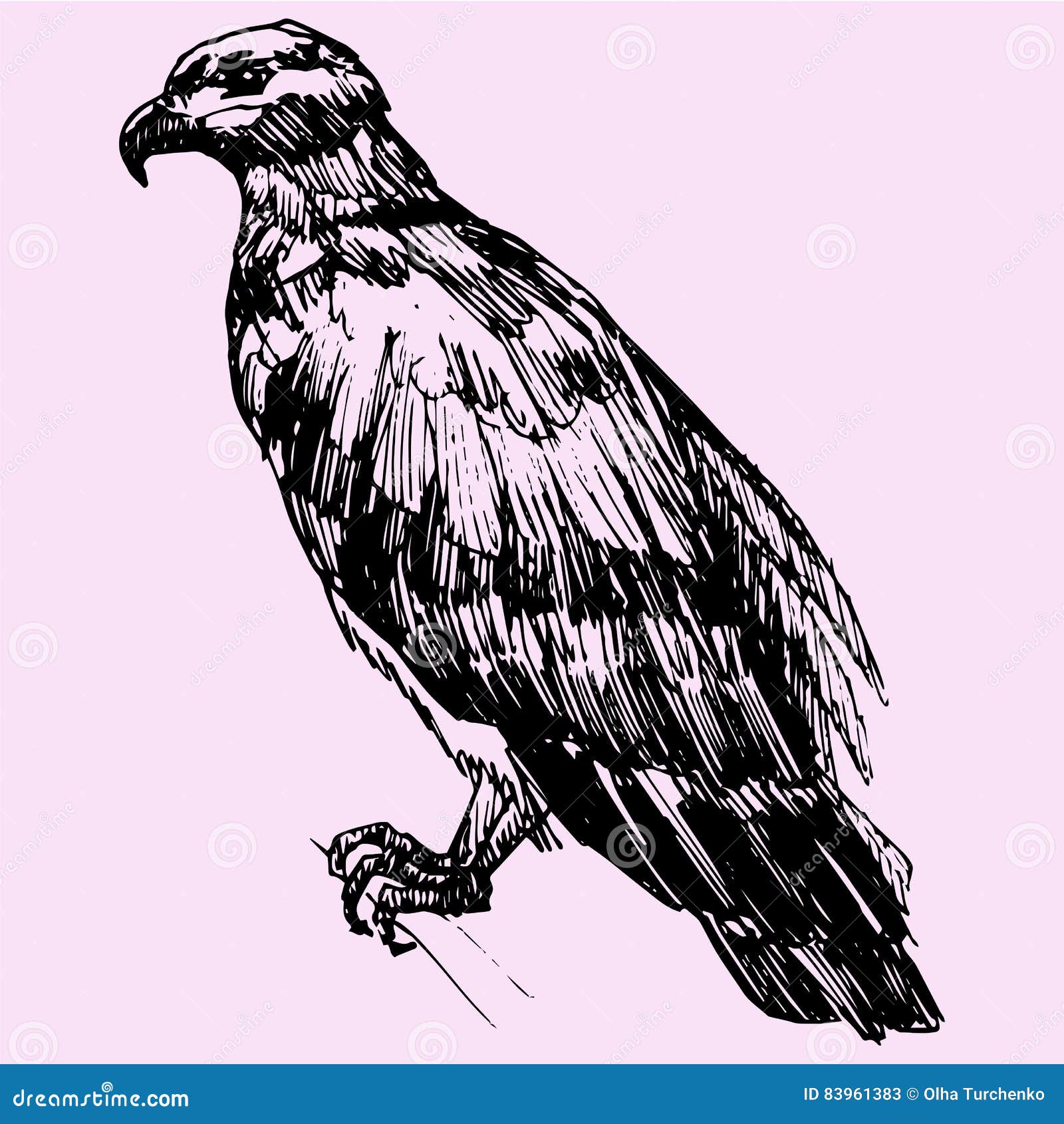 Eagle stock vector. Illustration of draw, graphic, design - 83961383