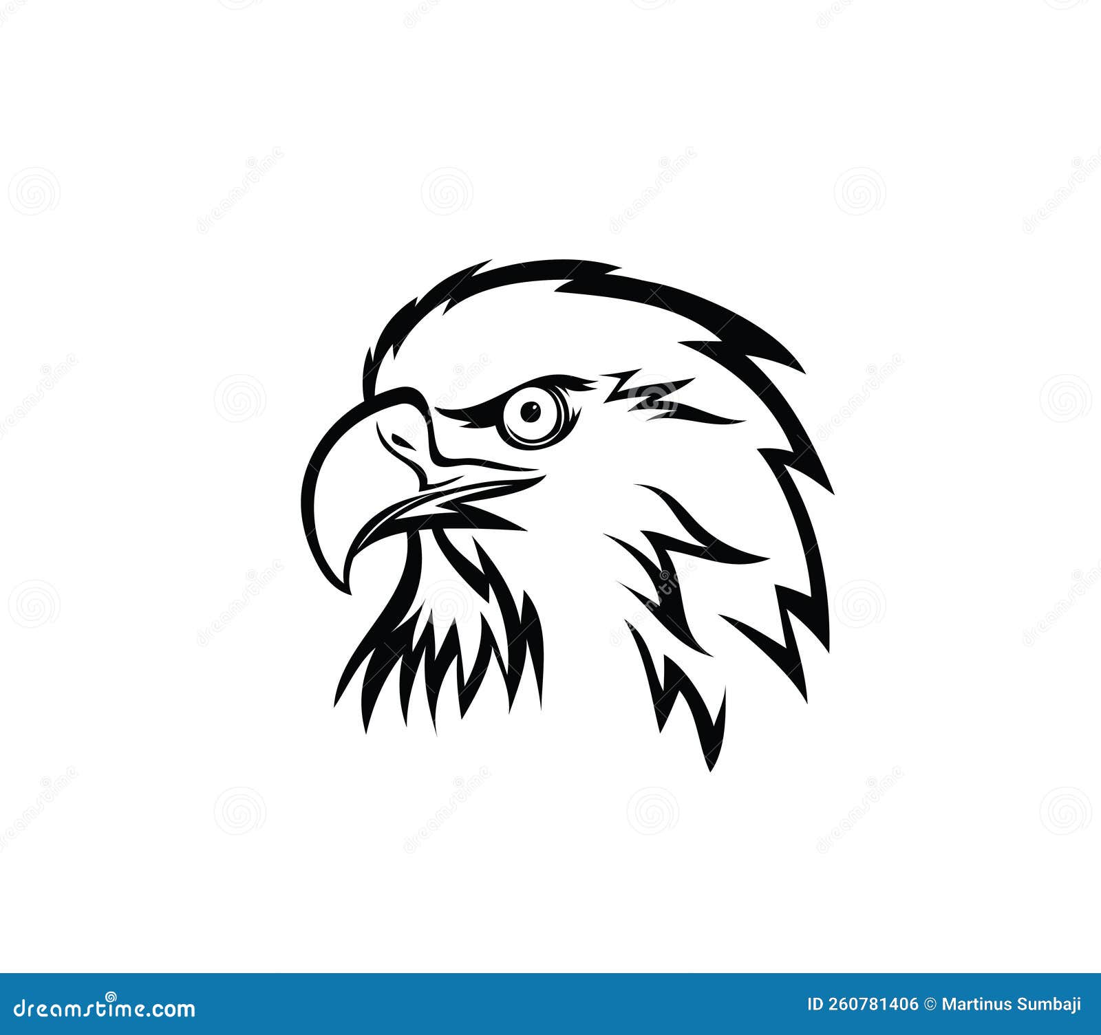 Eagle Face stock vector. Illustration of bird, head - 260781406