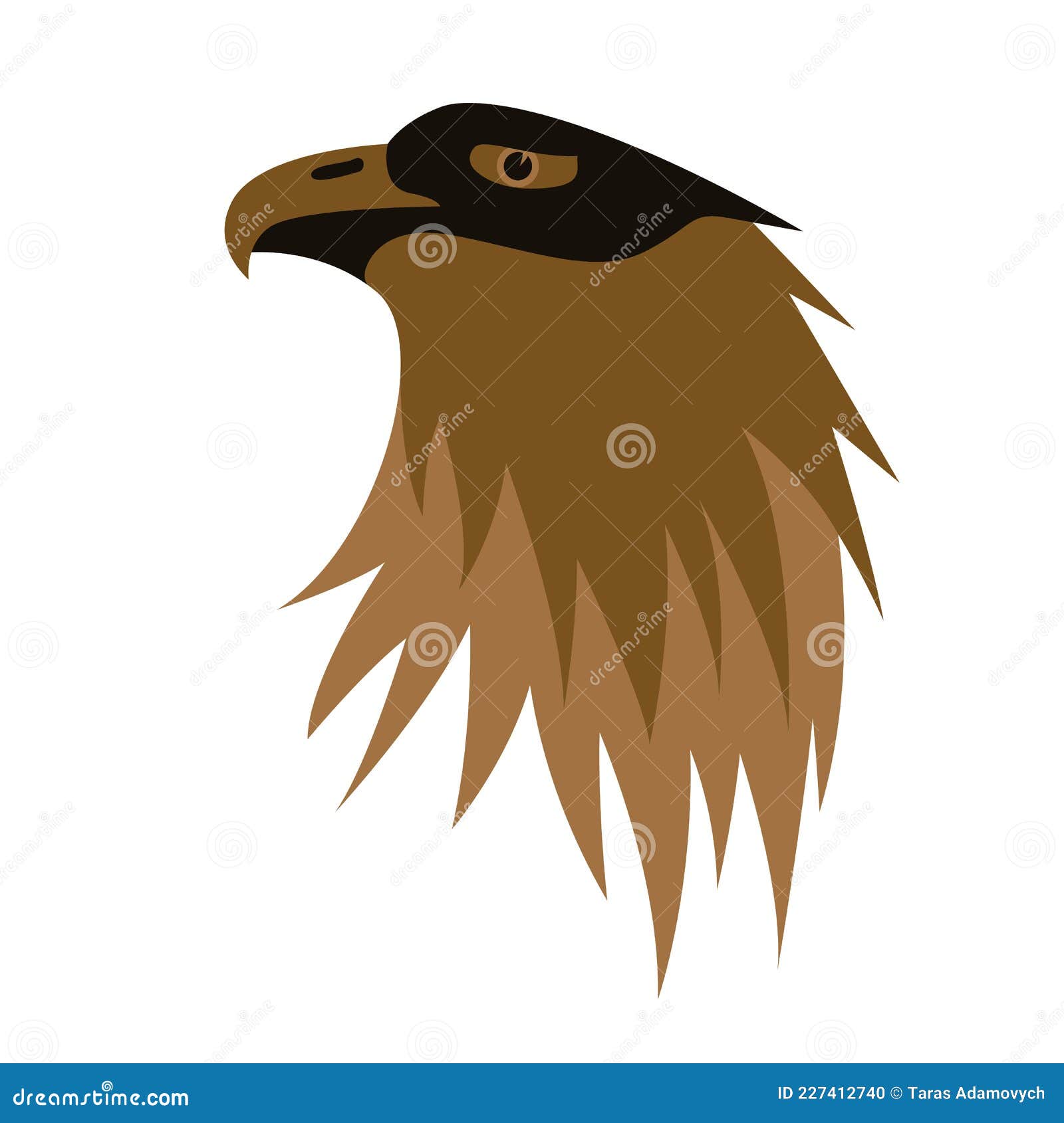 Eagle Face Front Vector