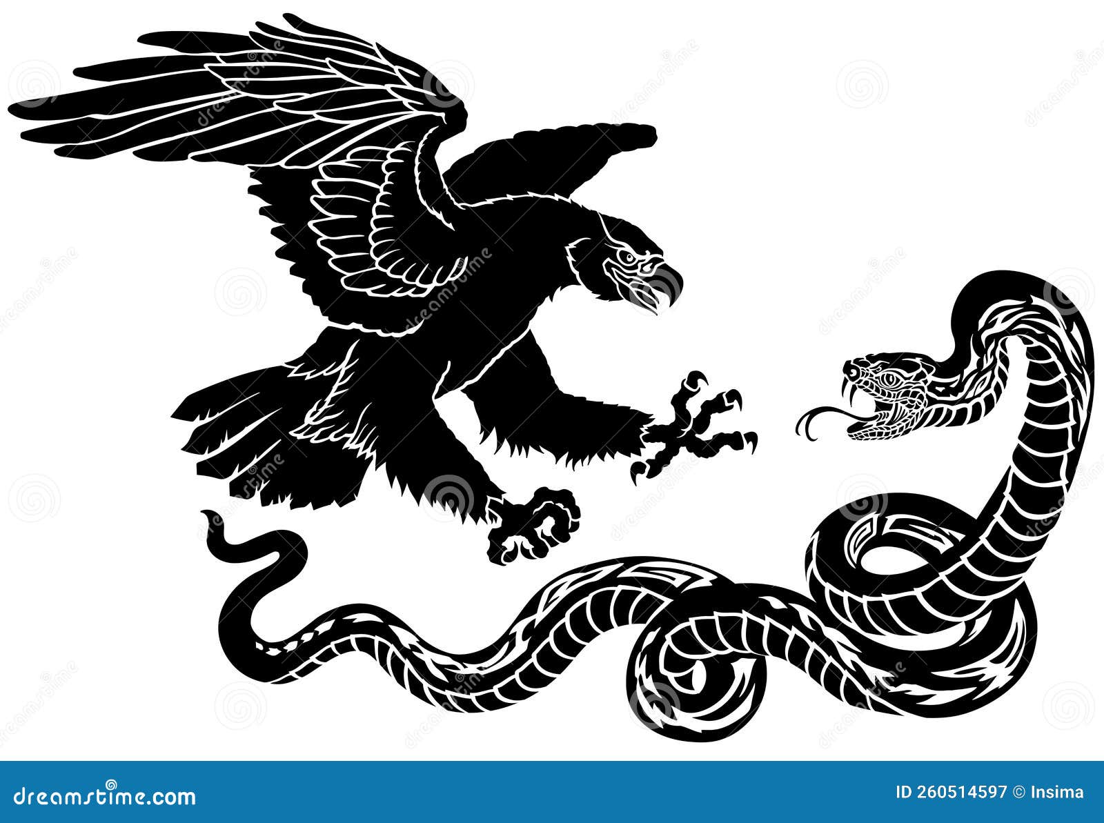 Eagle Vs Snake Real