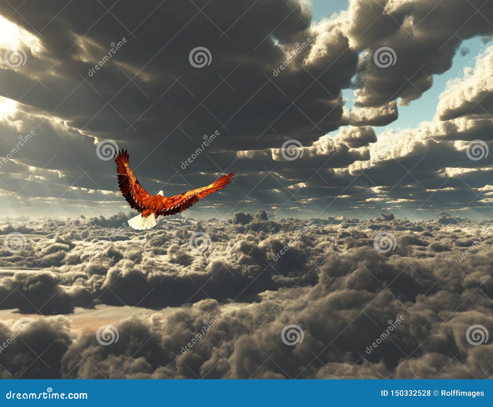Bird of Freedom stock illustration. Illustration of fluffy - 150332528