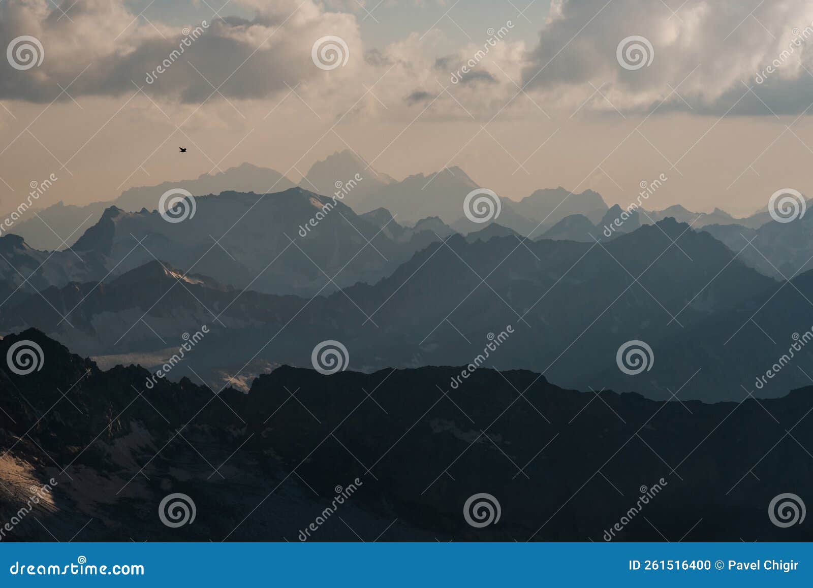 The Eagle Flies High in the Mountains Over the Sharp Rocky Peaks Stock Photo - Image of light ...