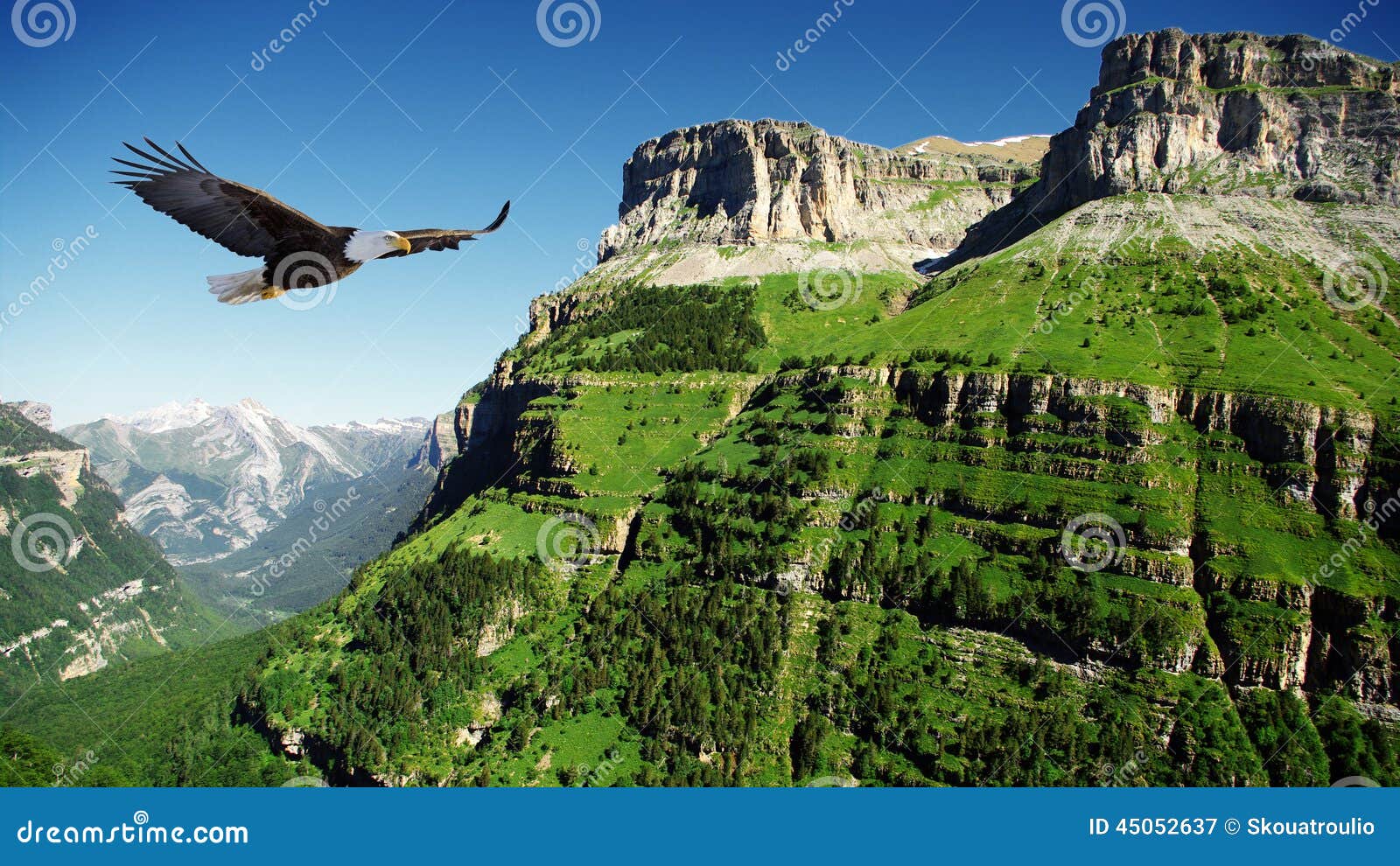 Eagle stock image. Image of pyrenees, europe, mountaineering - 45052637