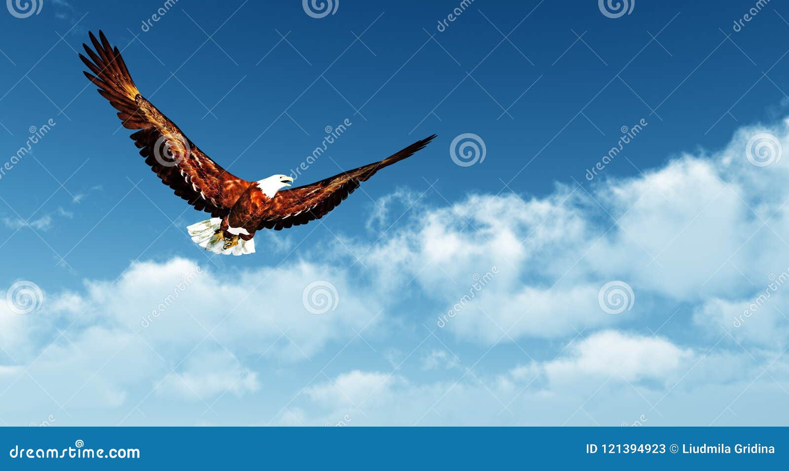 Eagle Flying on a Background of the Blue Sky Stock Illustration ...