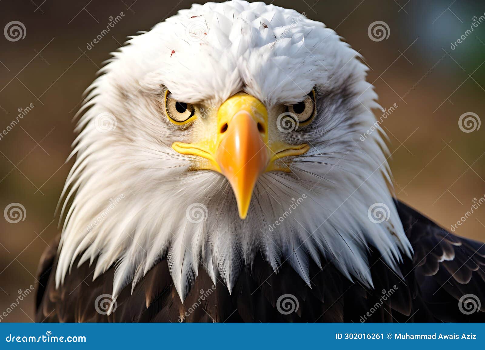 Eagle Flying in the Blue Sky 3d Render - Ai Generated Stock ...
