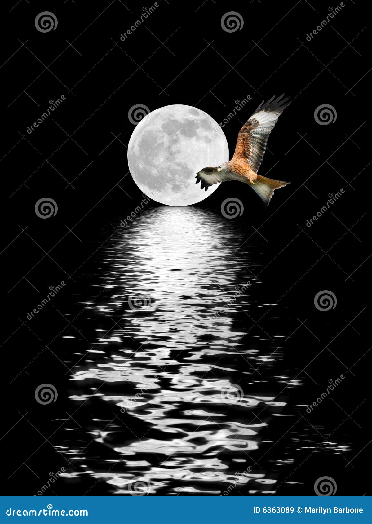 Eagle Moon Stock Illustrations – 1,384 Eagle Moon Stock Illustrations ...