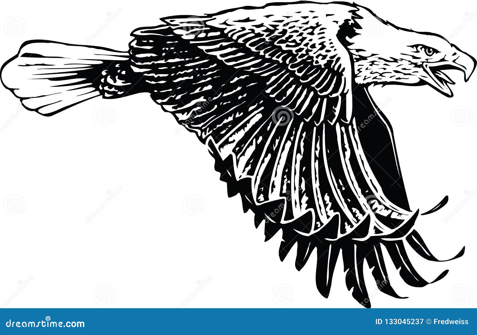 Eagle Flying Illustration stock vector. Illustration of eagle - 133045237