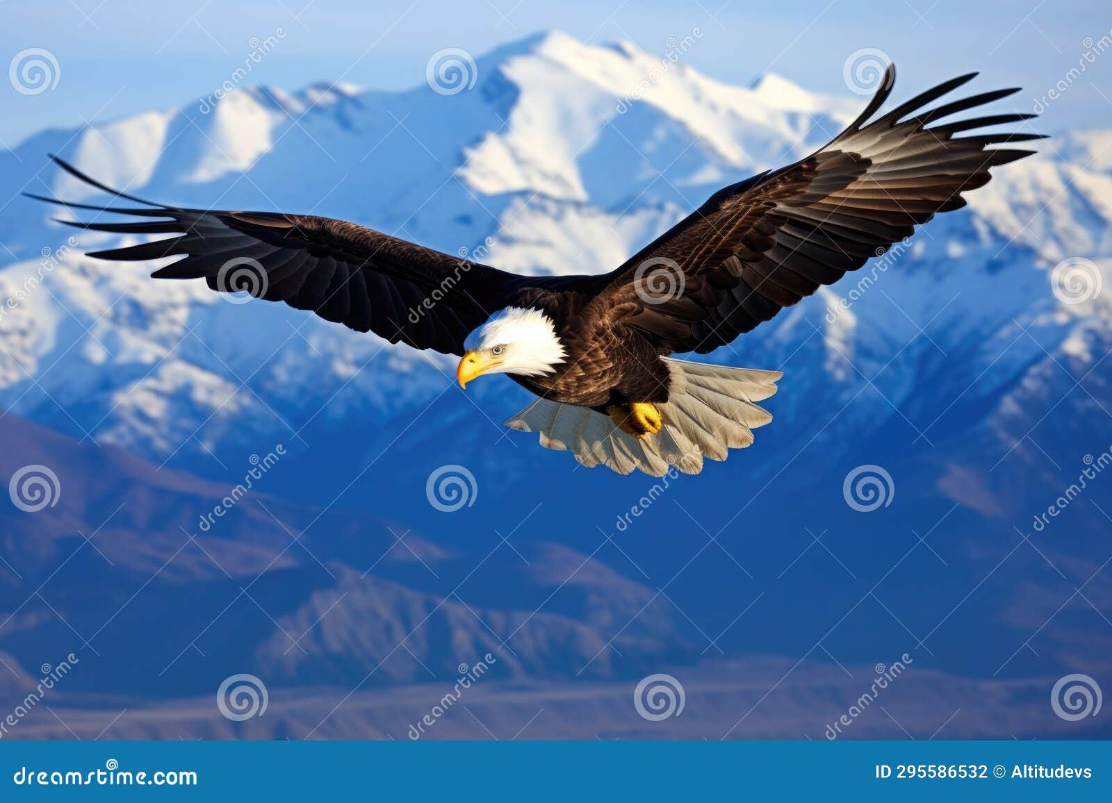 Bald Eagle Flying Over Mountains Bald Eagle Facts WorldAtlas