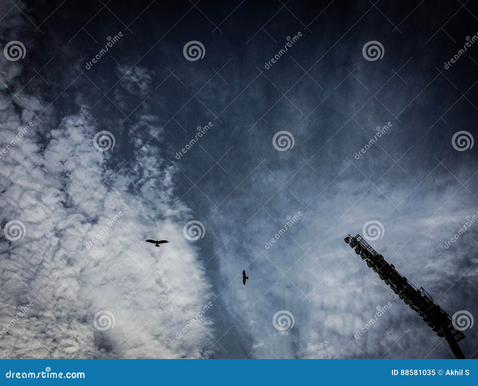 Eagle flying sky stock image. Image of flying, eagle - 88581035