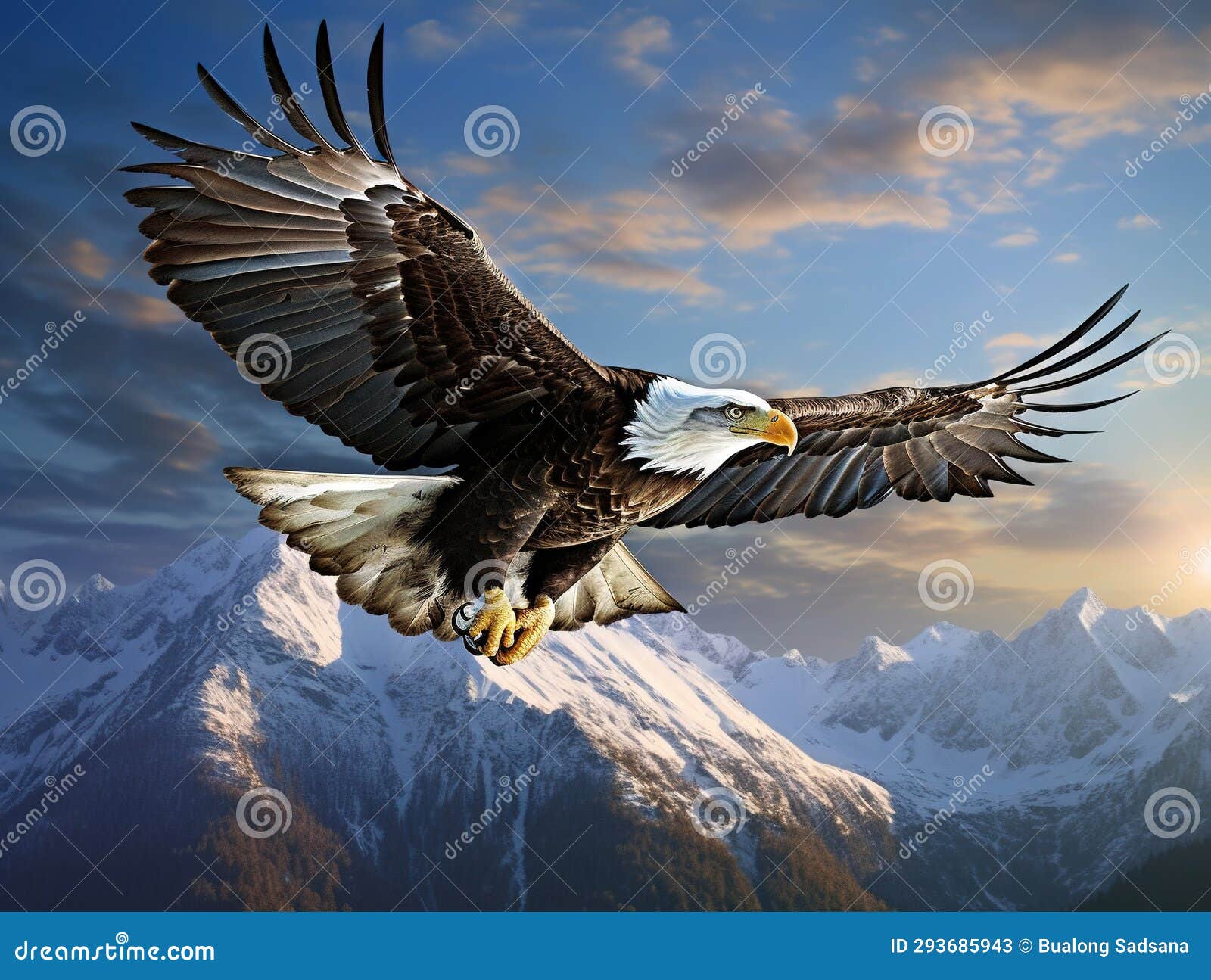Eagle flying toward viewer stock illustration. Illustration of ...