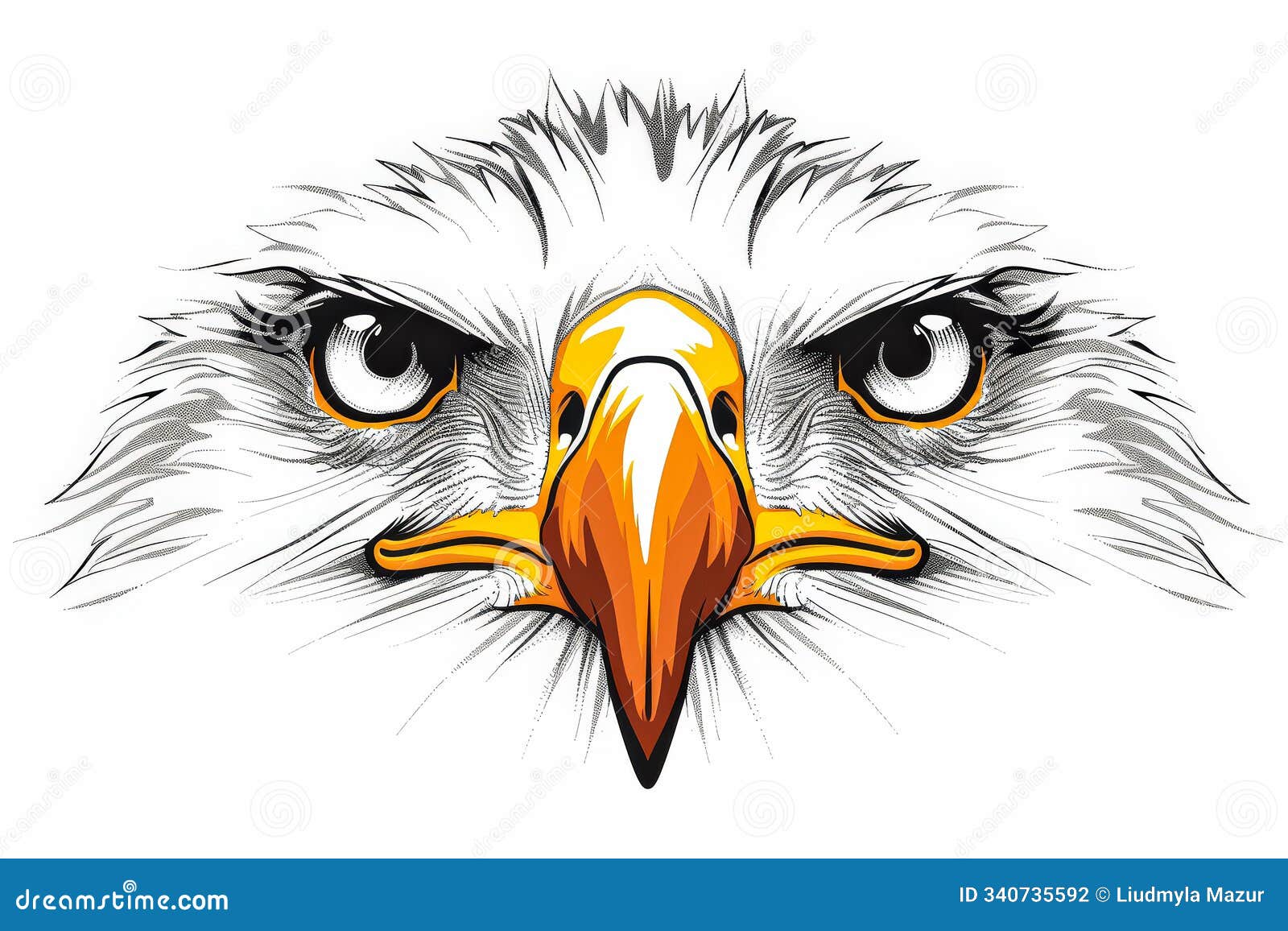 The Eagle Has a Very Angry Expression on Its Face Stock Photo - Image ...