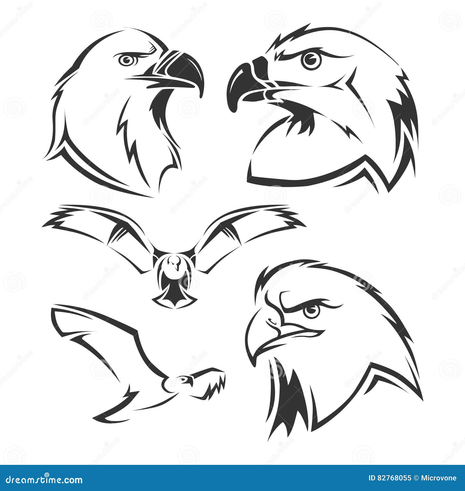 Hawk Cartoon Vector | CartoonDealer.com #4582997