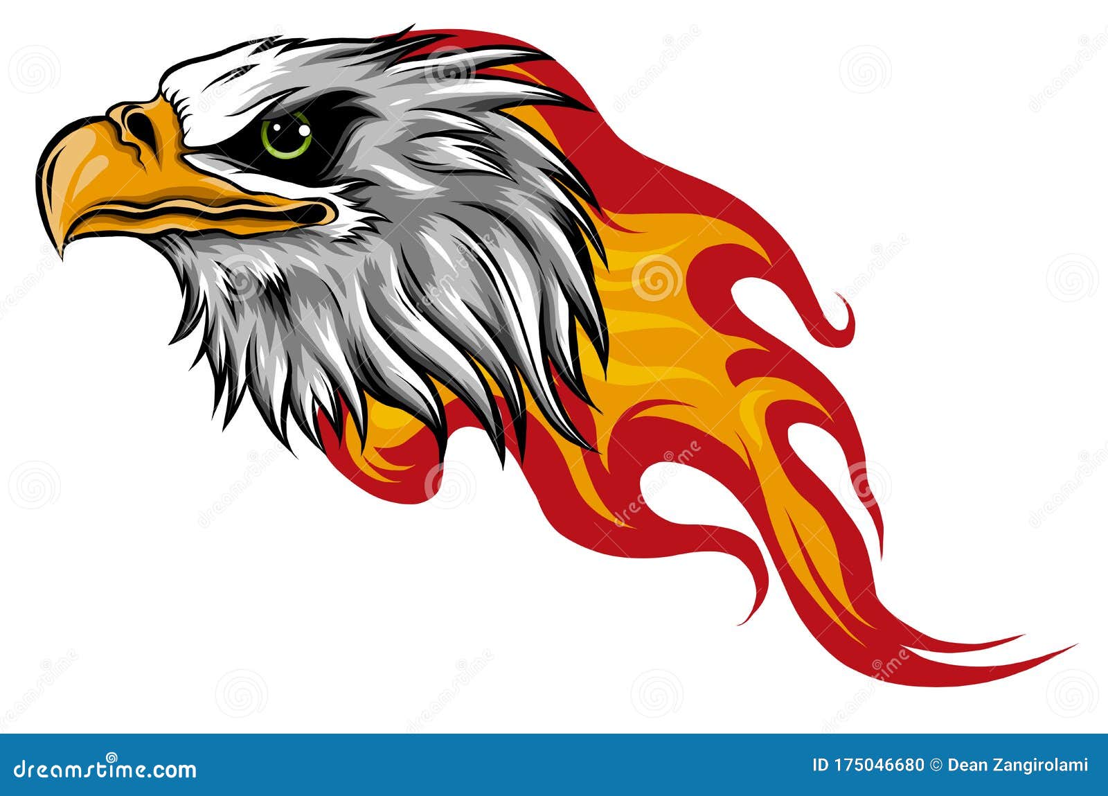 Eagle Head with Flames Vector Illustration Design Stock Vector - Illustration of flight, eagle ...