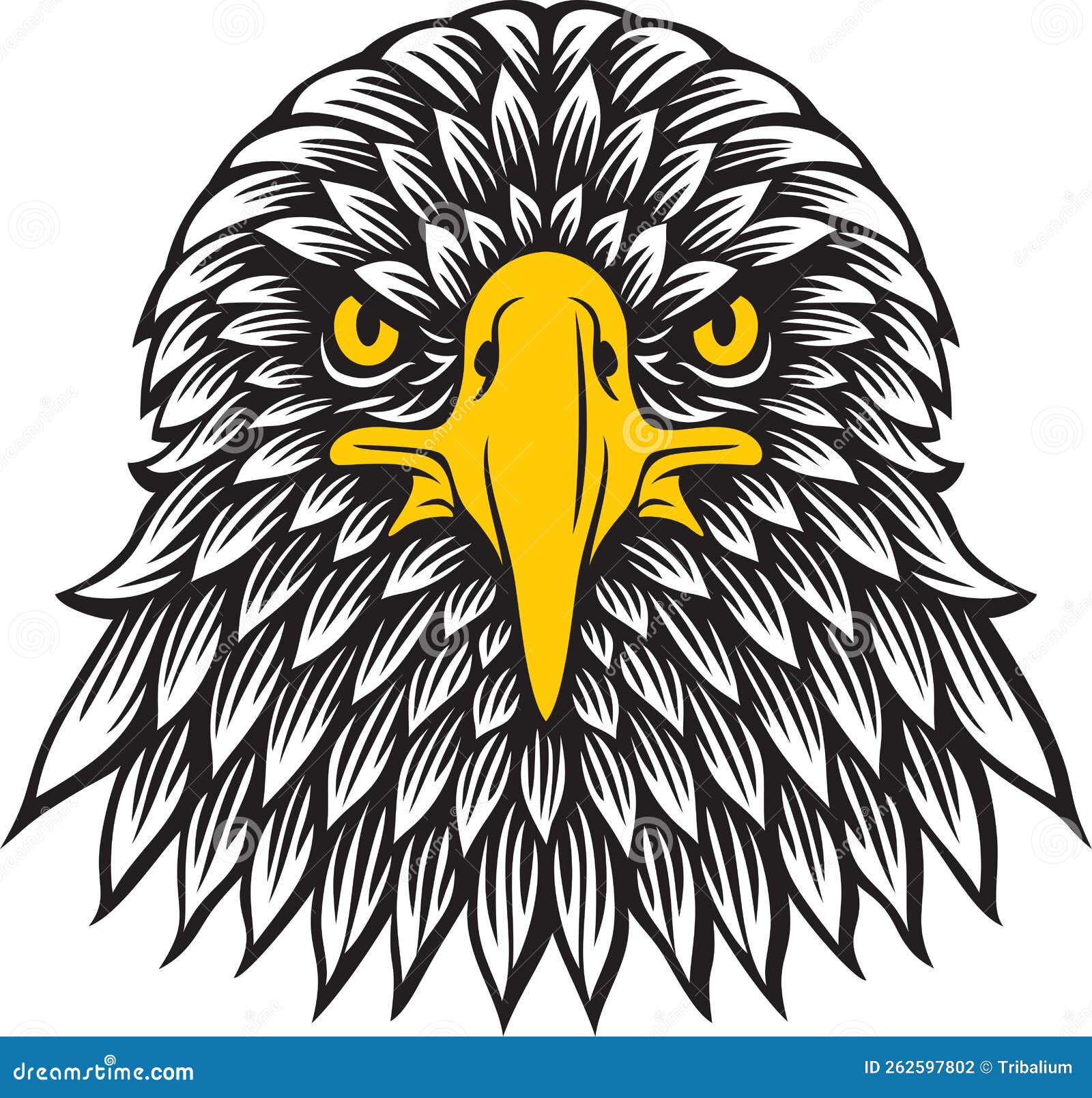 Eagle Head Front Vector Bald Eagle Face Vector Illustration Stock
