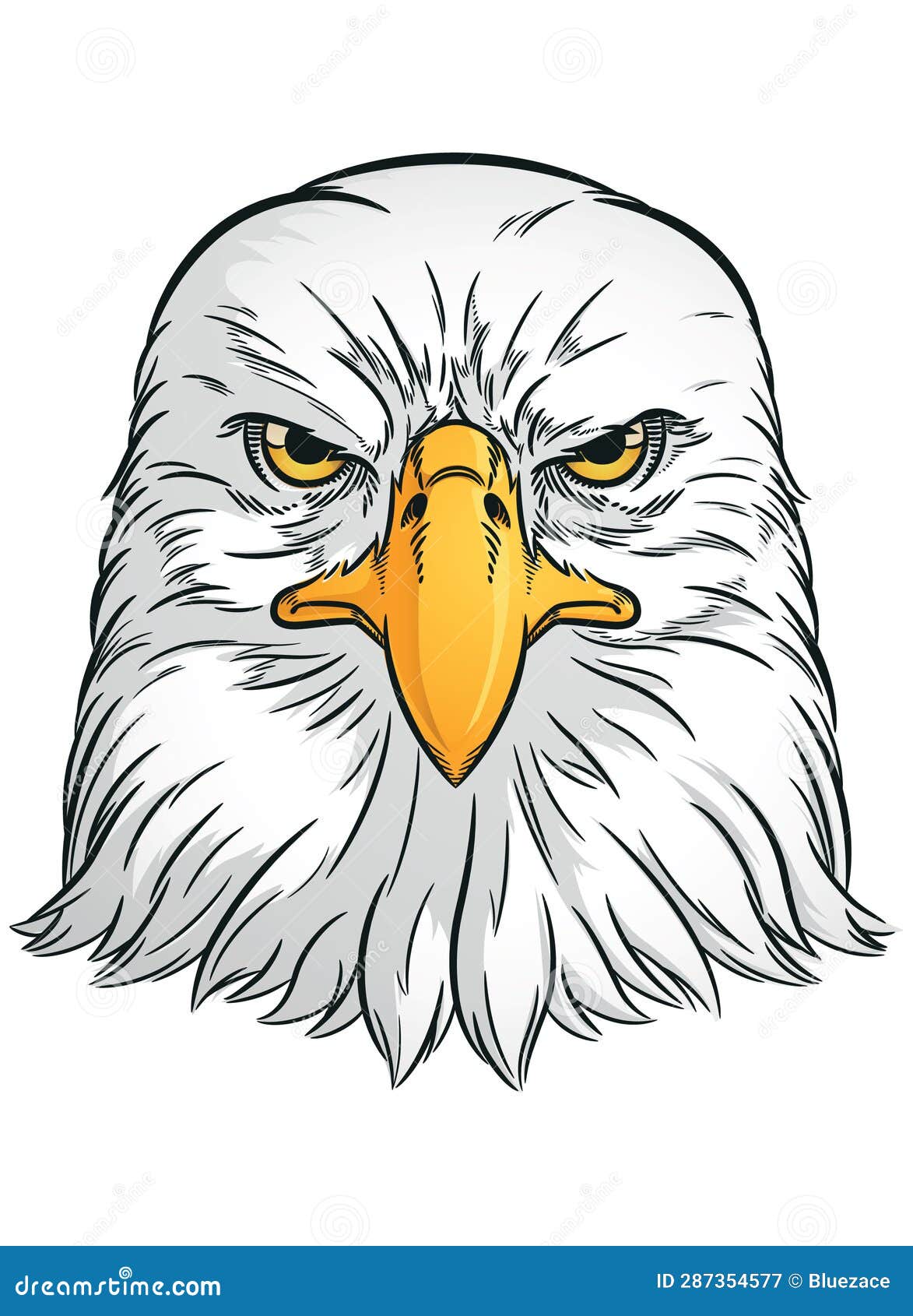 Eagle Head Front View Falcon Bird Stock Vector - Illustration of falcon ...