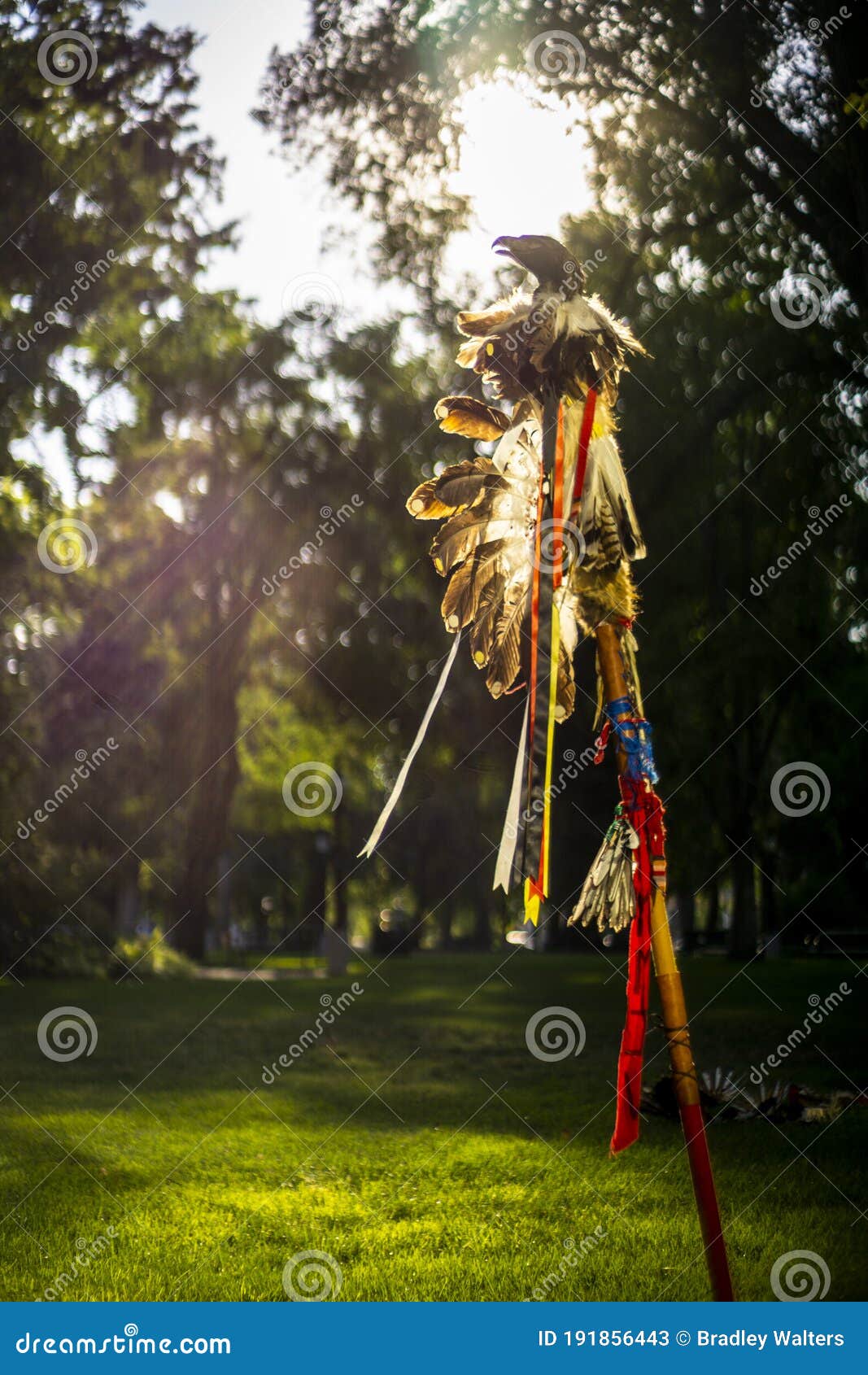 Eagle head staff stock image. Image of colourful, lawn - 191856443