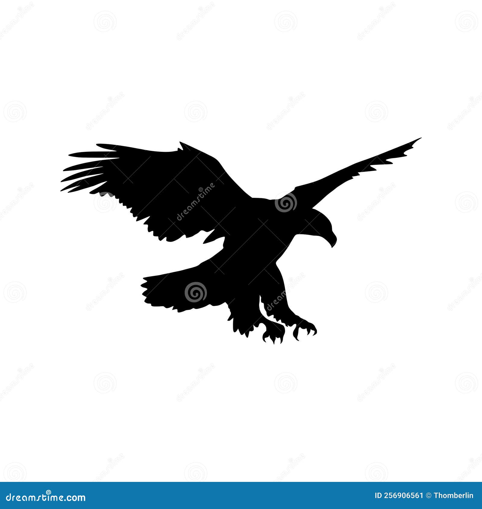 Eagle on the Hunt Vector stock image. Illustration of hover - 256906561