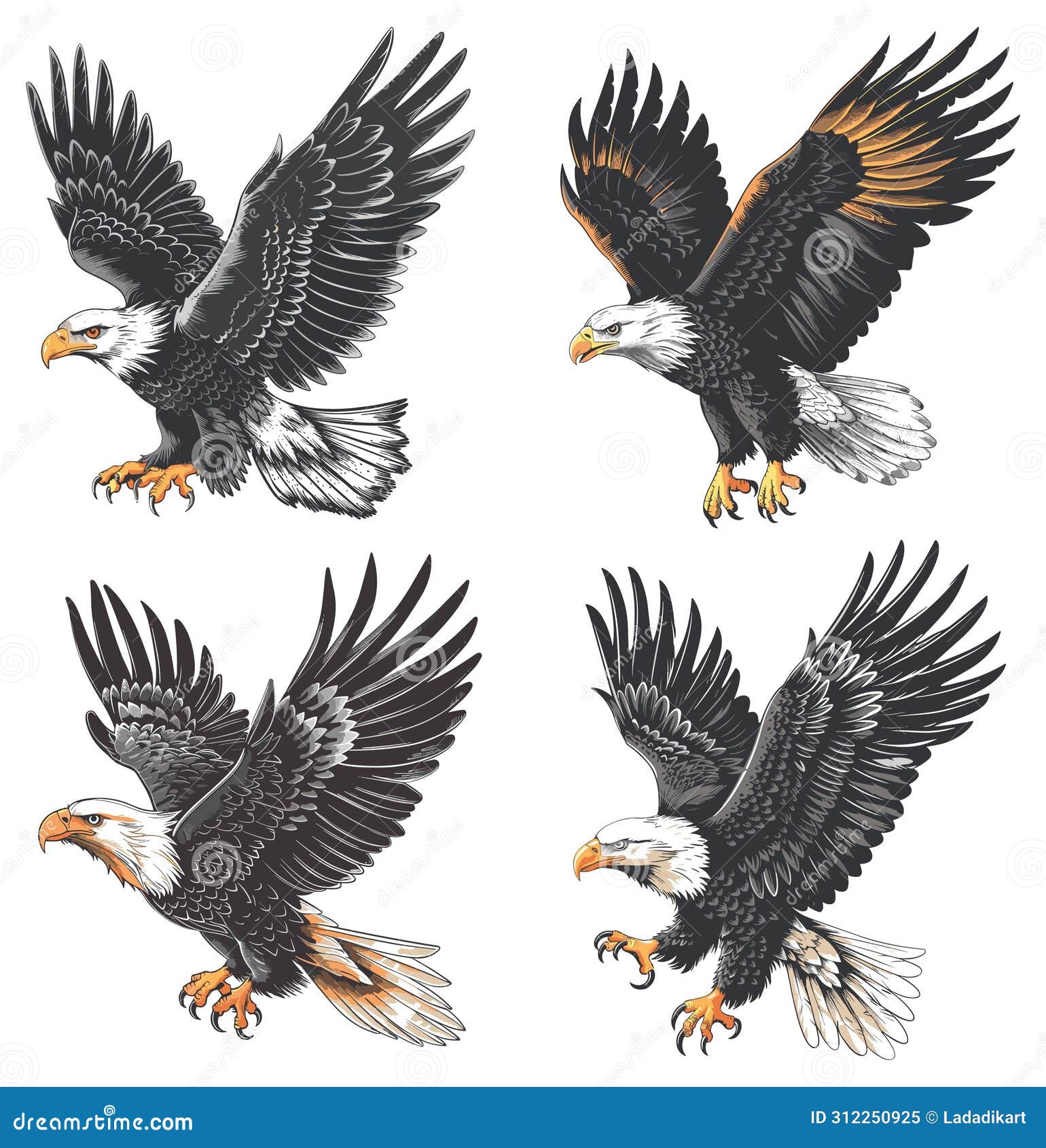 Eagle Isolated Element. Flying Bald Eagles Vector Illustration ...