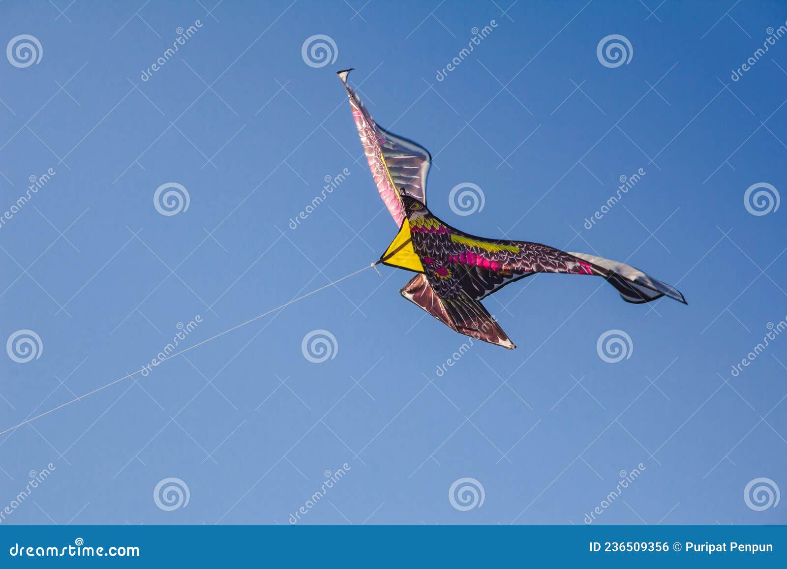 Eagle Breakthrough Stock Photos - Free & Royalty-Free Stock Photos from ...