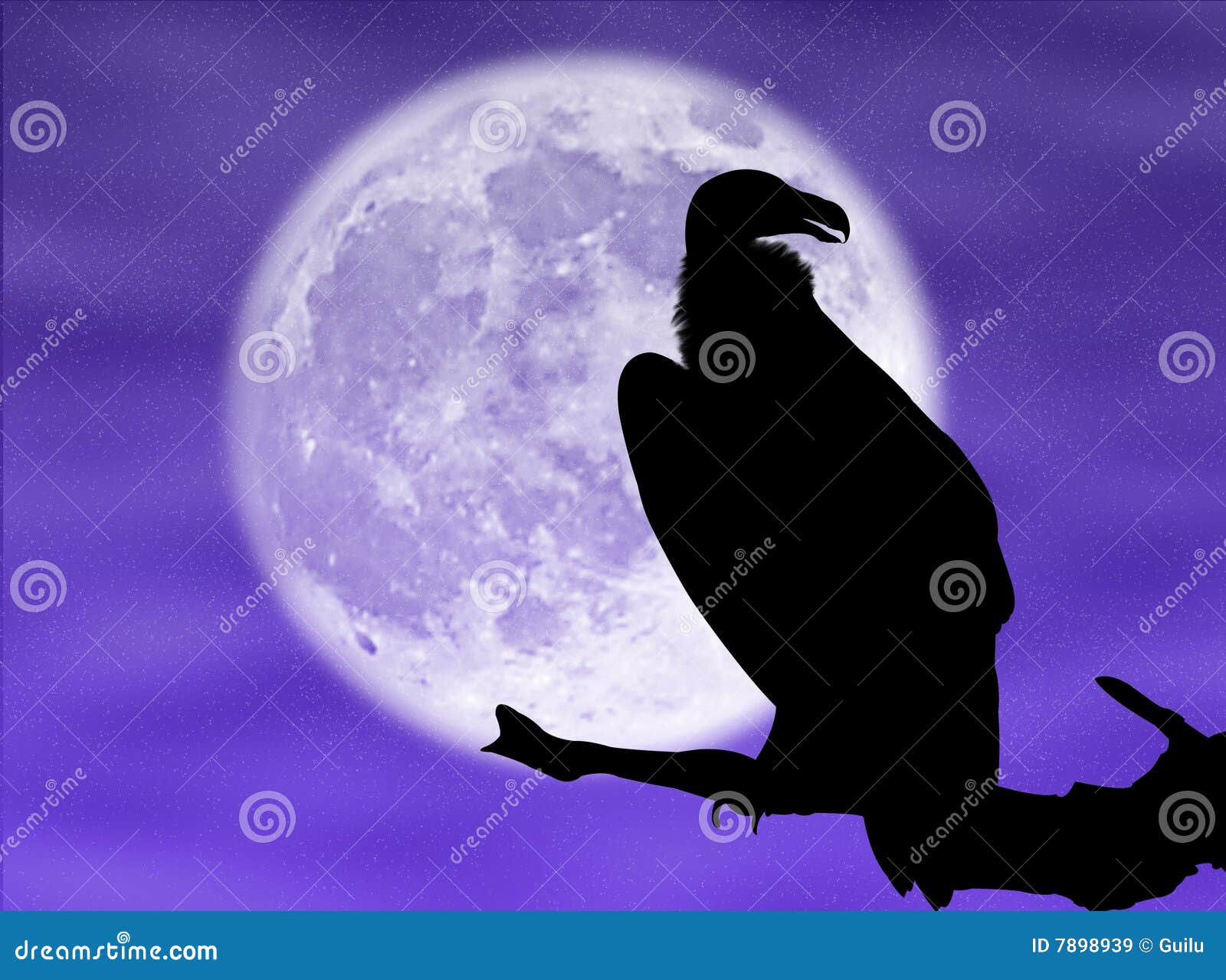 Eagle In The Moon Picture. Image: 7898939