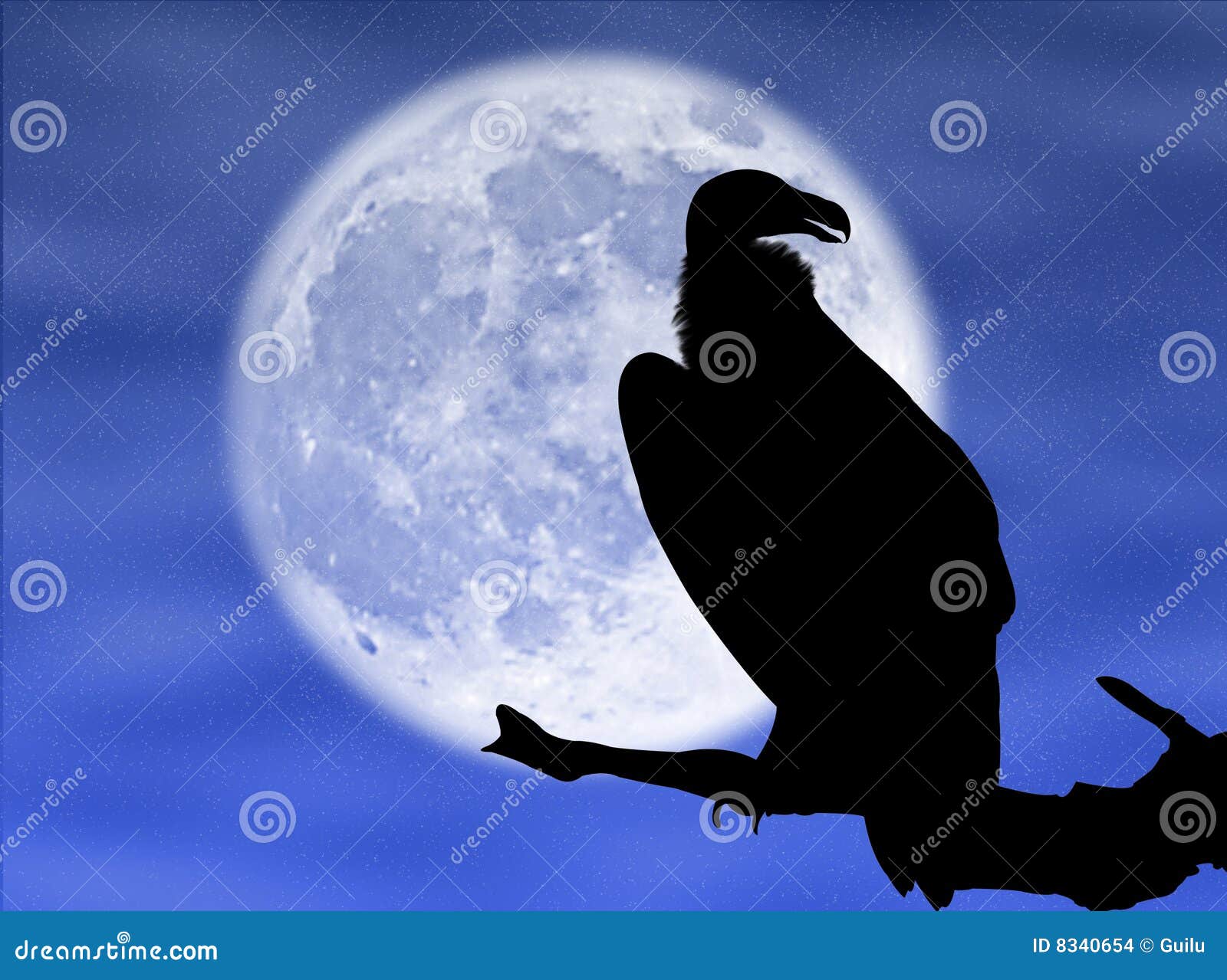 Eagle in the moon stock illustration. Illustration of beak - 8340654