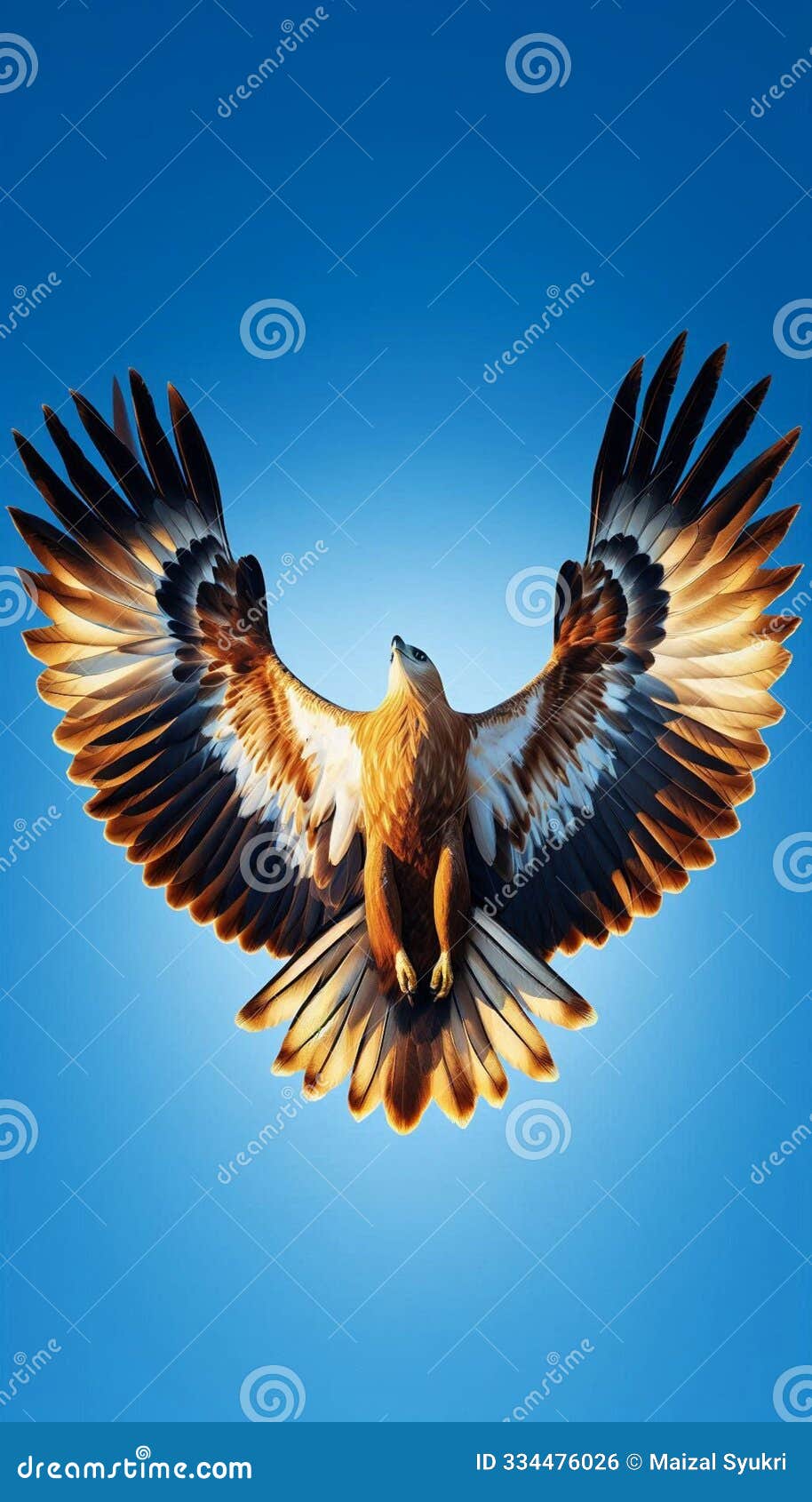 Eagle with Outstretched Wings in Blue Sky Stock Illustration ...