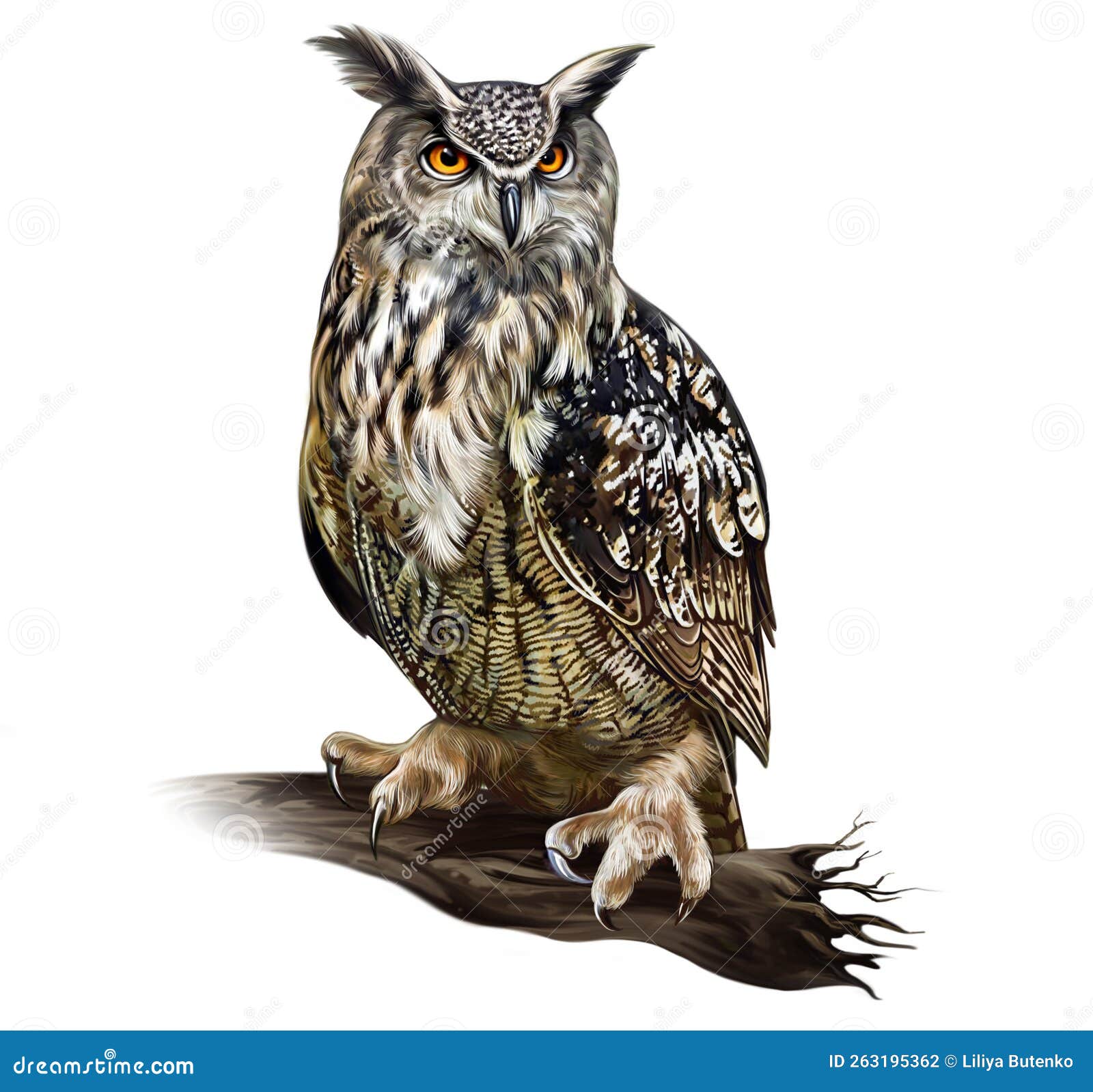 Bubo Cartoons, Illustrations & Vector Stock Images - 3197 Pictures to ...