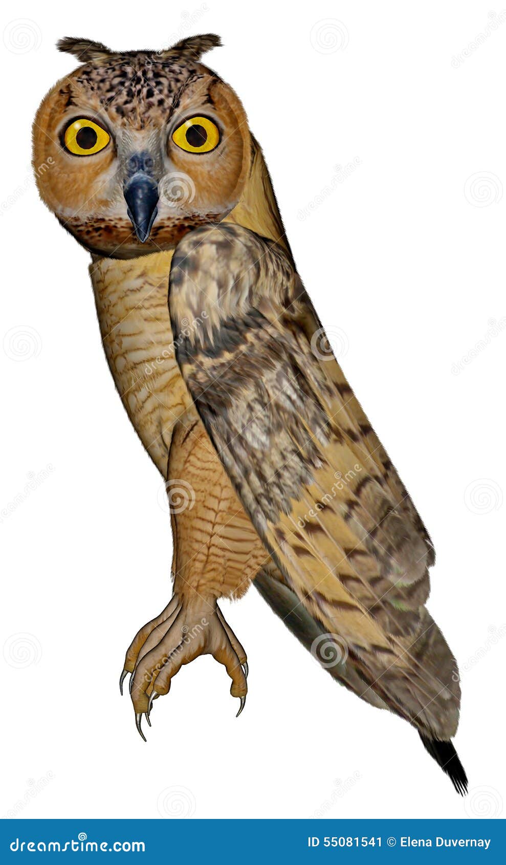 Eagle owl - 3D render stock illustration. Illustration of bird - 55081541