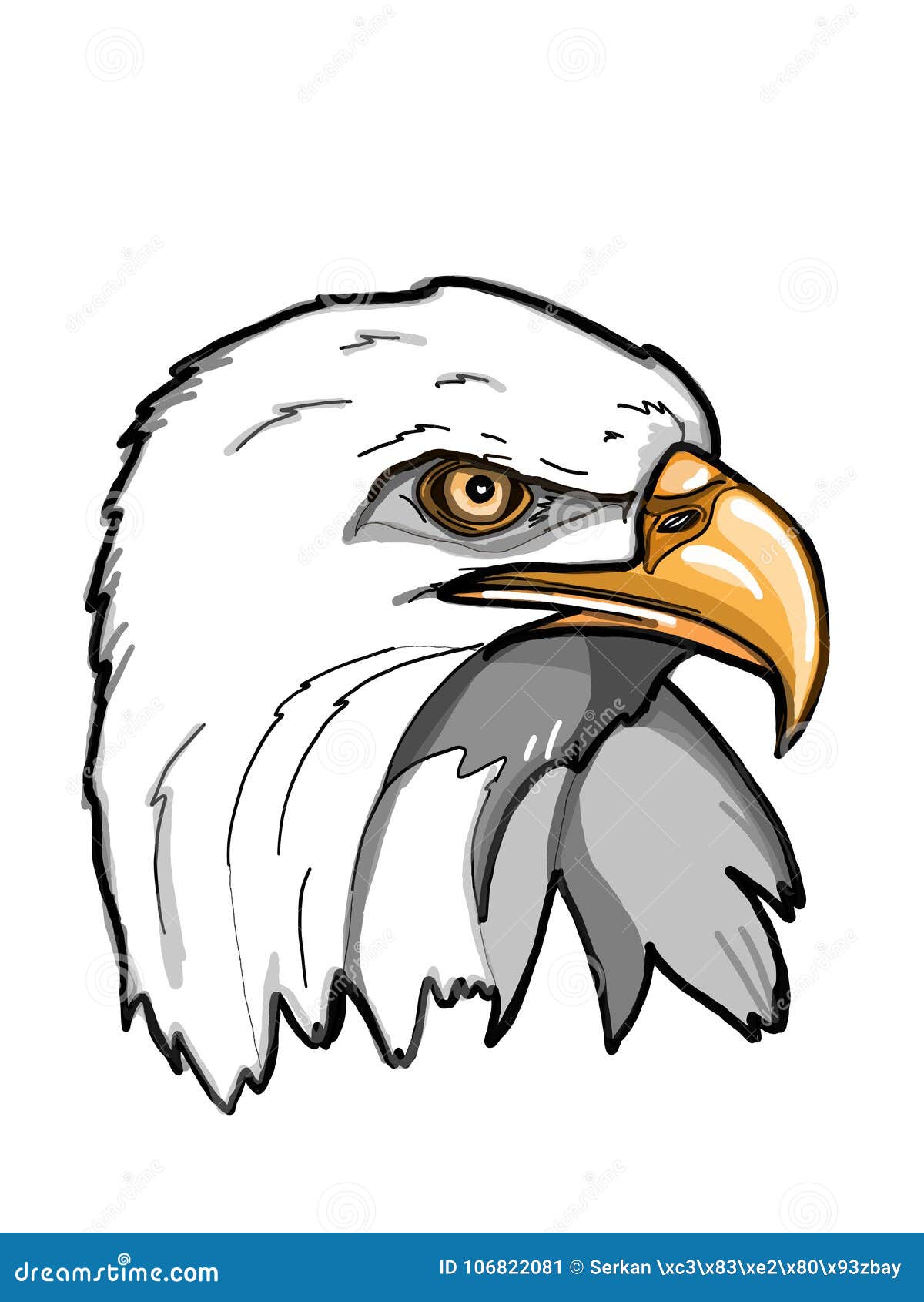 Eagle Portrait Realistic Illustration Drawing Black White Background ...