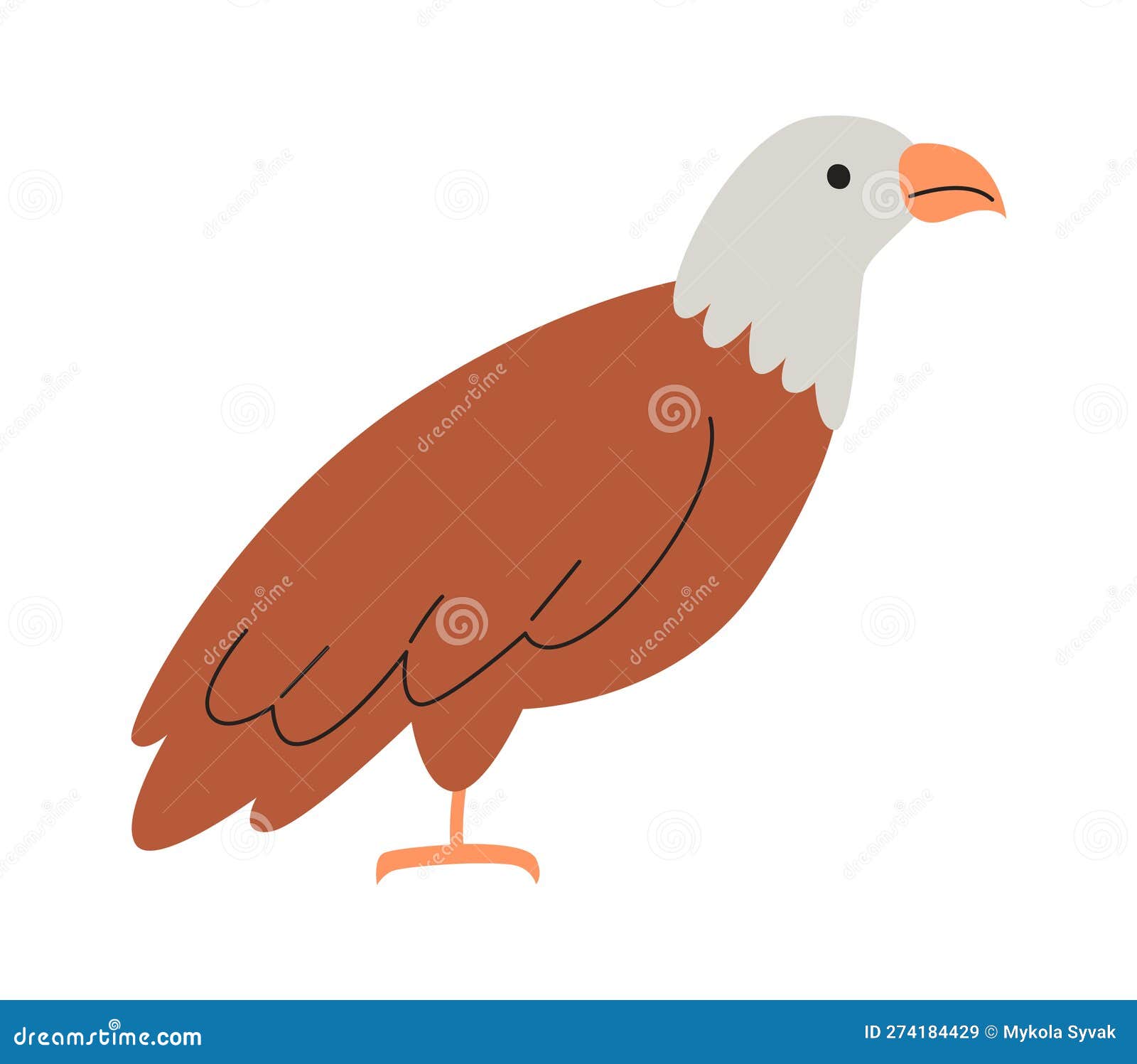 Eagle, Predator Bird. American Feathered Animal, Hunter With Beak And ...