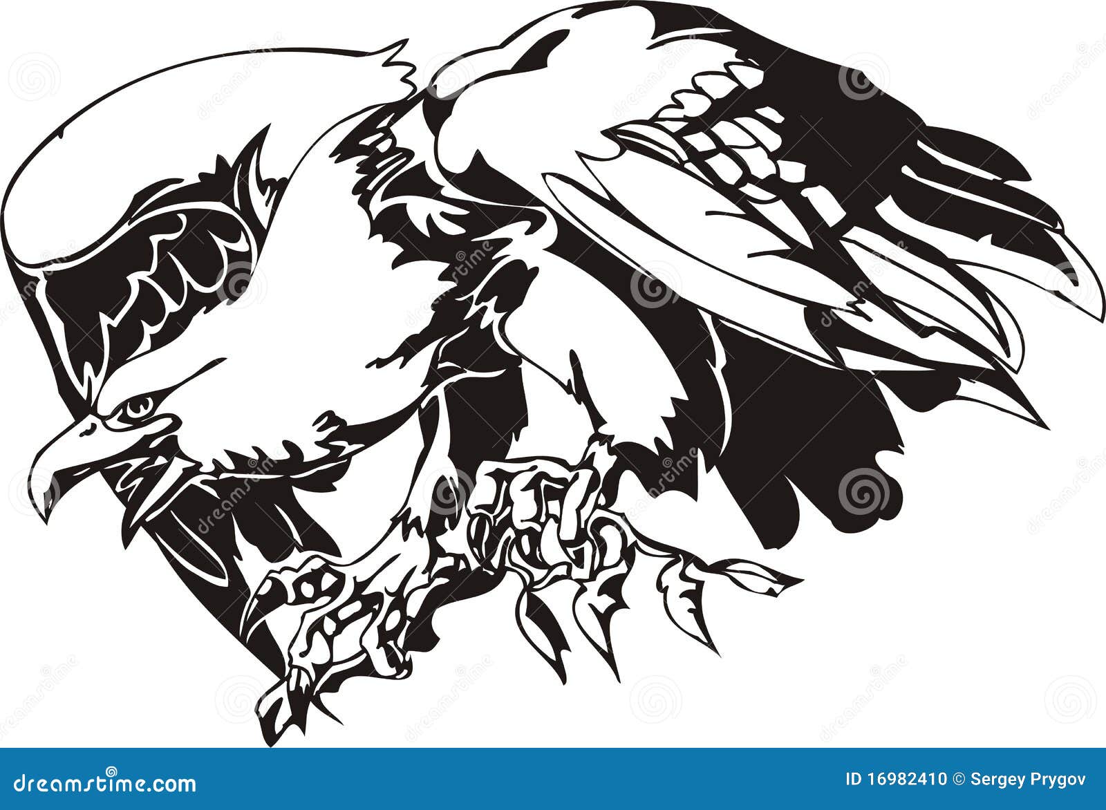 Eagle - predatory bird. stock vector. Illustration of hawk - 16982410