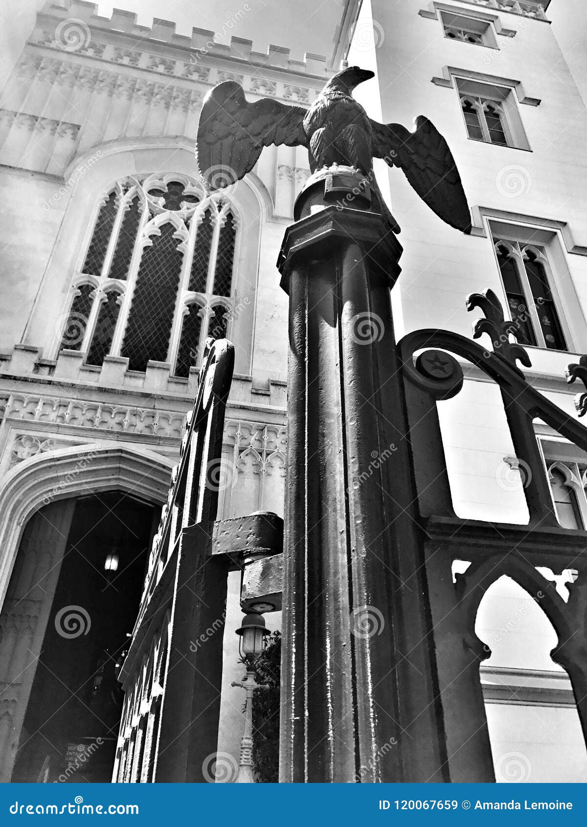 Eagle Rising stock image. Image of louisiana, rouge - 120067659