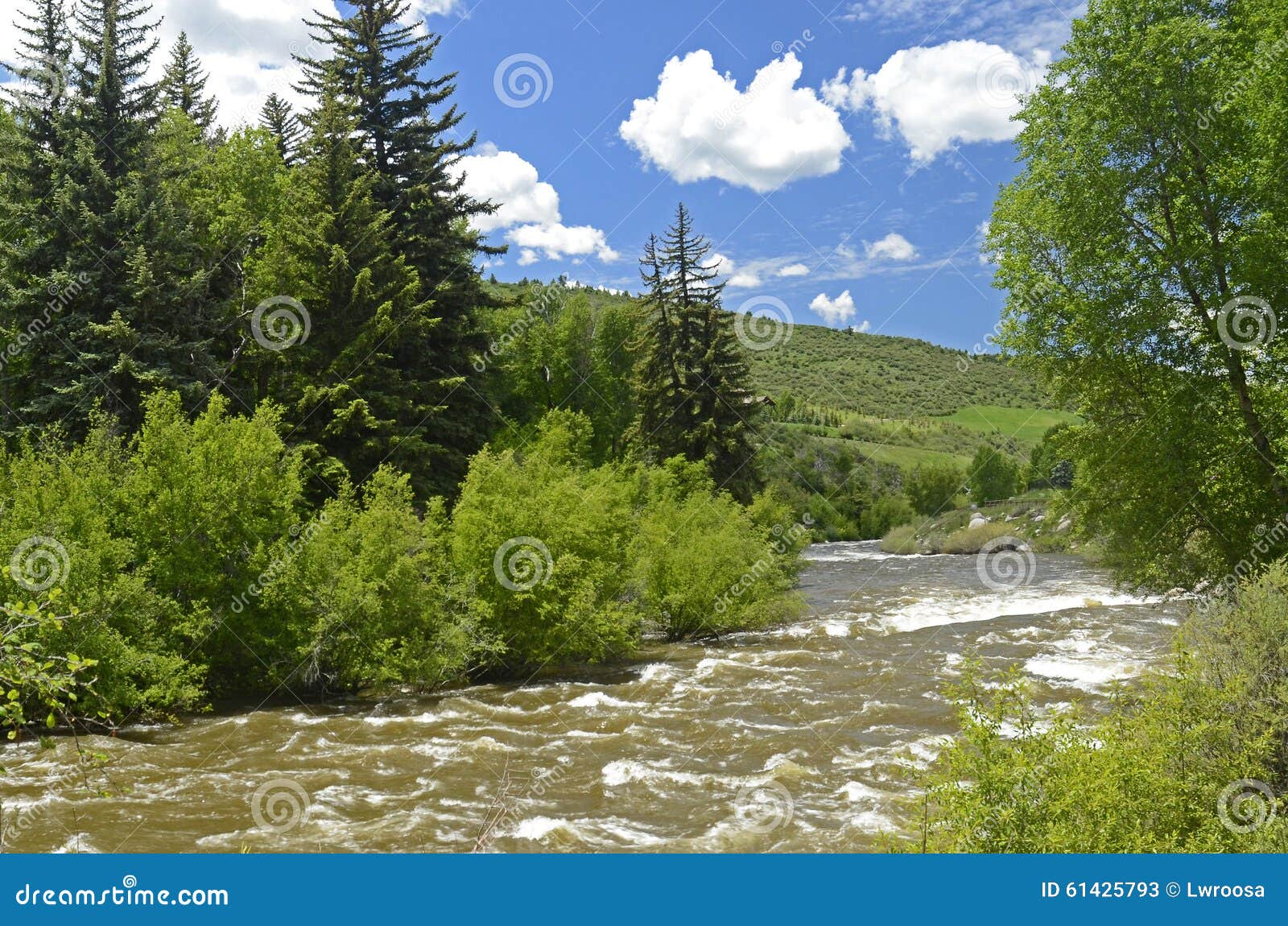 Eagle River image stock. Image du courbure, avon, colorado - 61425793