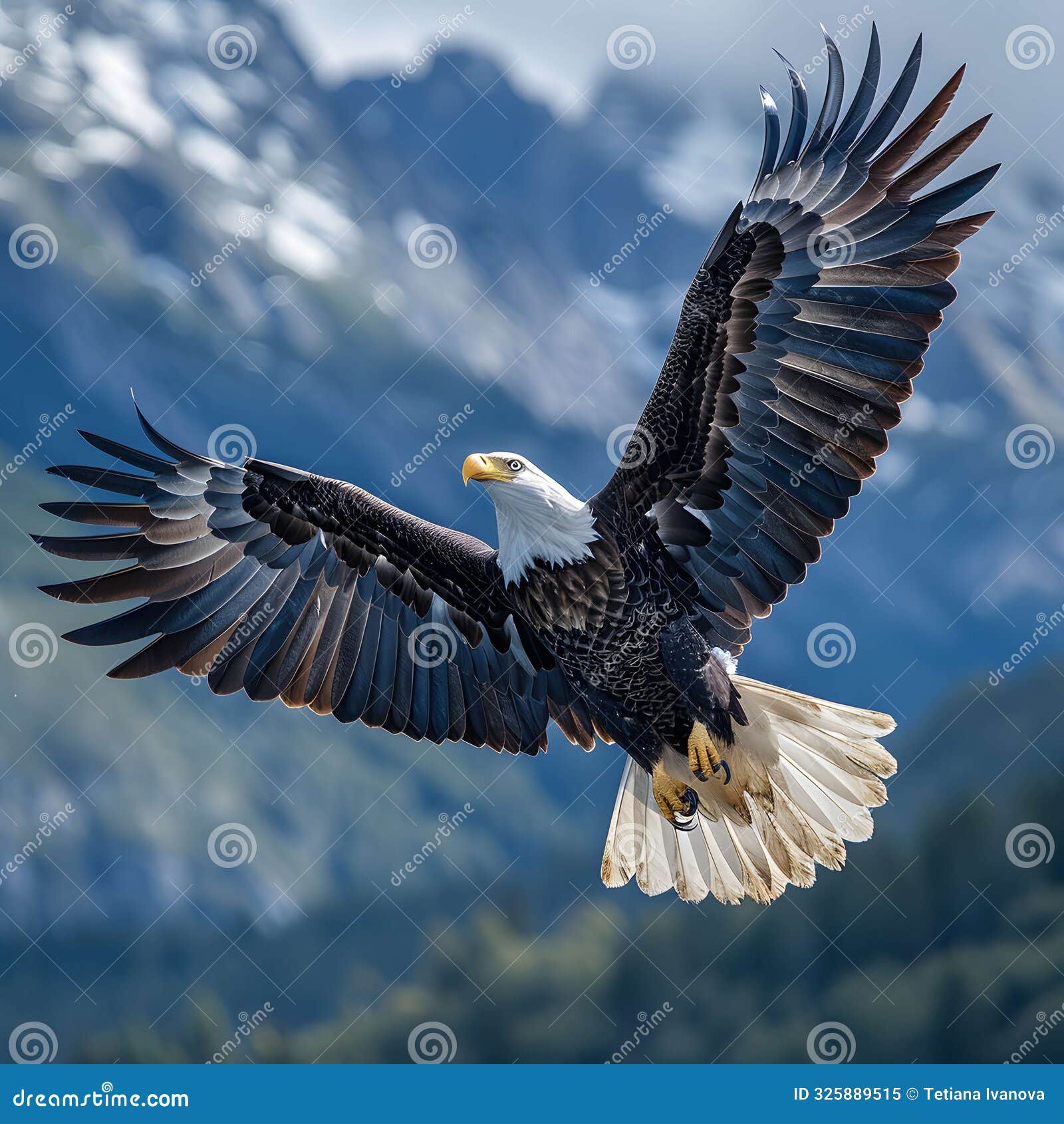 Eagle S Flight Symbolizing Strength and Independence. Stock ...