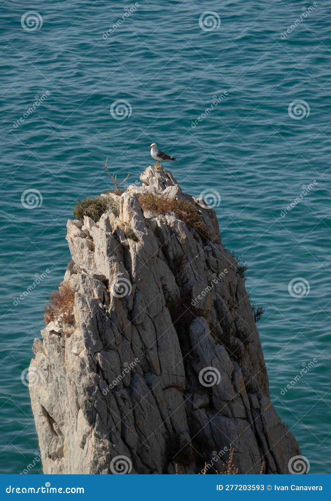 The Eagle S Nest is One of the Characteristic Stacks of the Sardinian ...